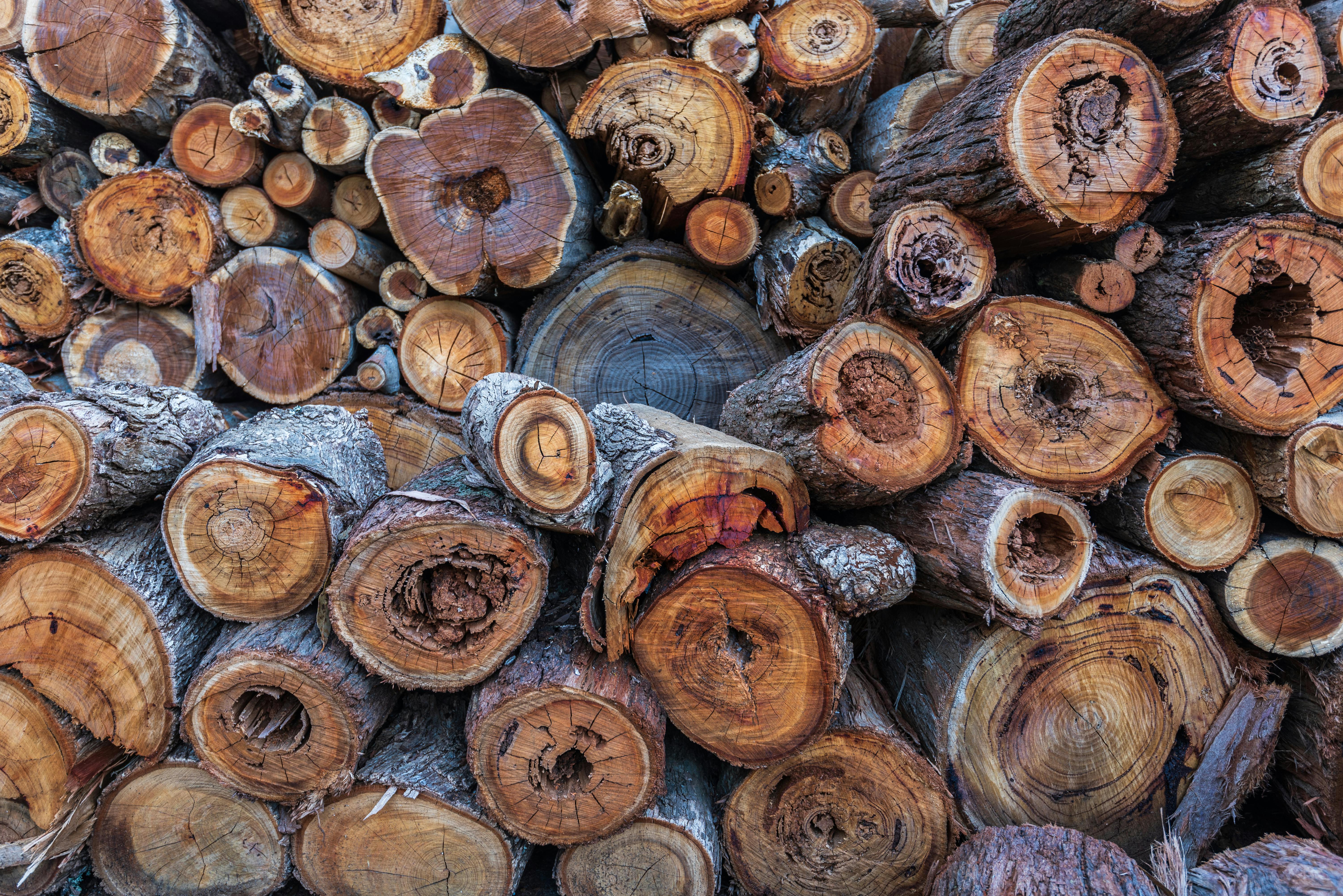 Brown Logs · Free Stock Photo