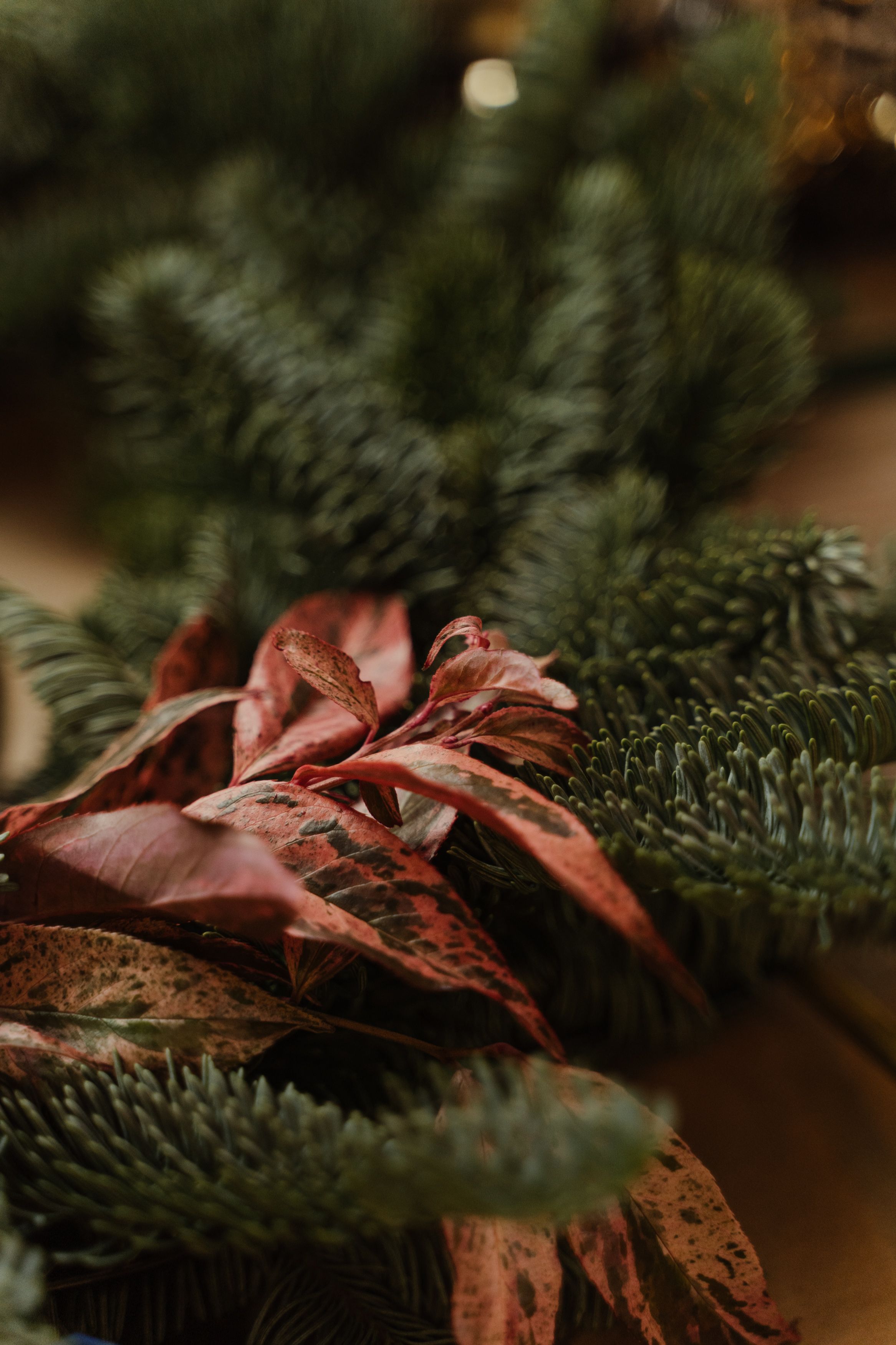 Red and Brown Leaves on the Table · Free Stock Photo