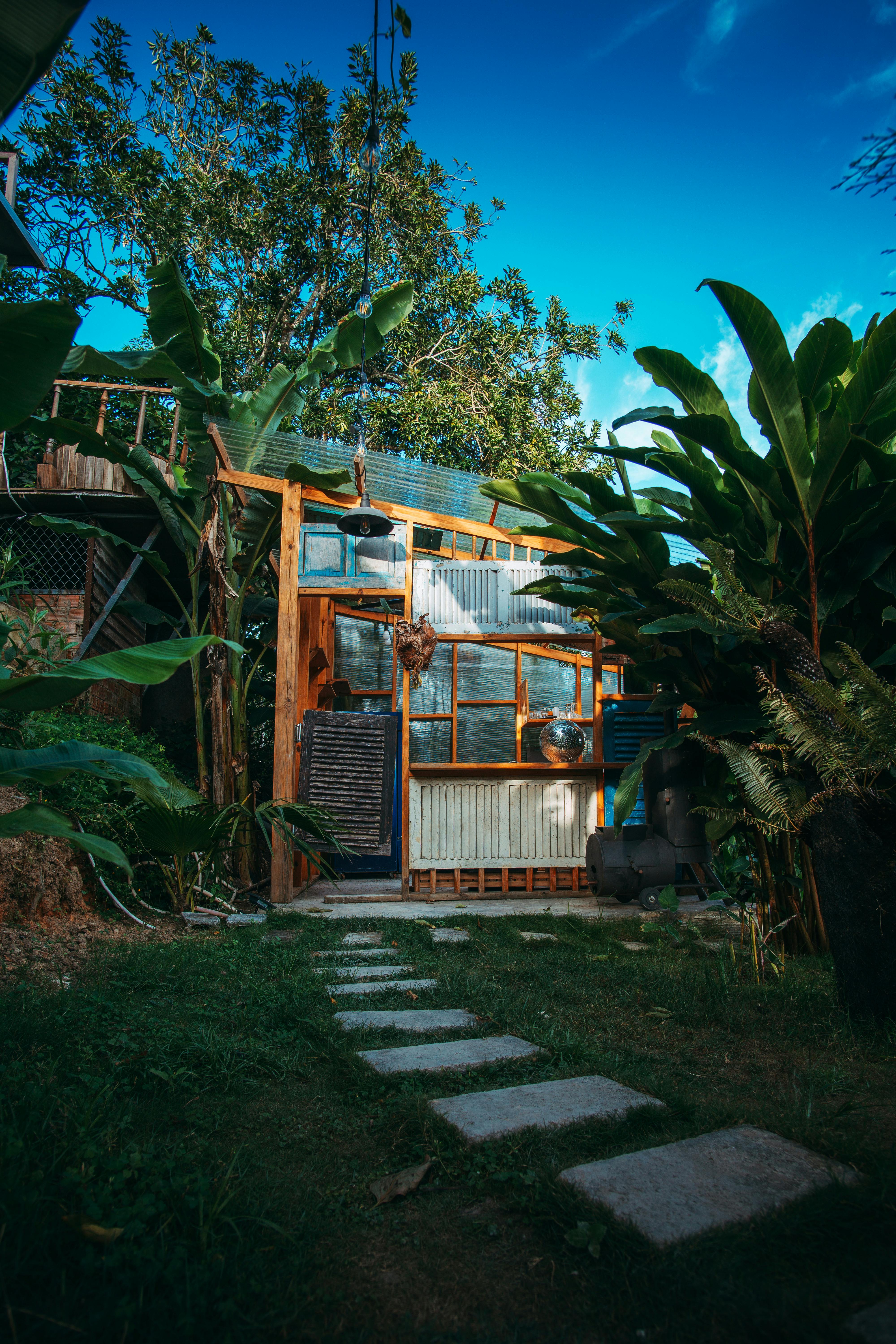 Anggota Banana Path Photos, Download The BEST Free Anggota Banana Path ...