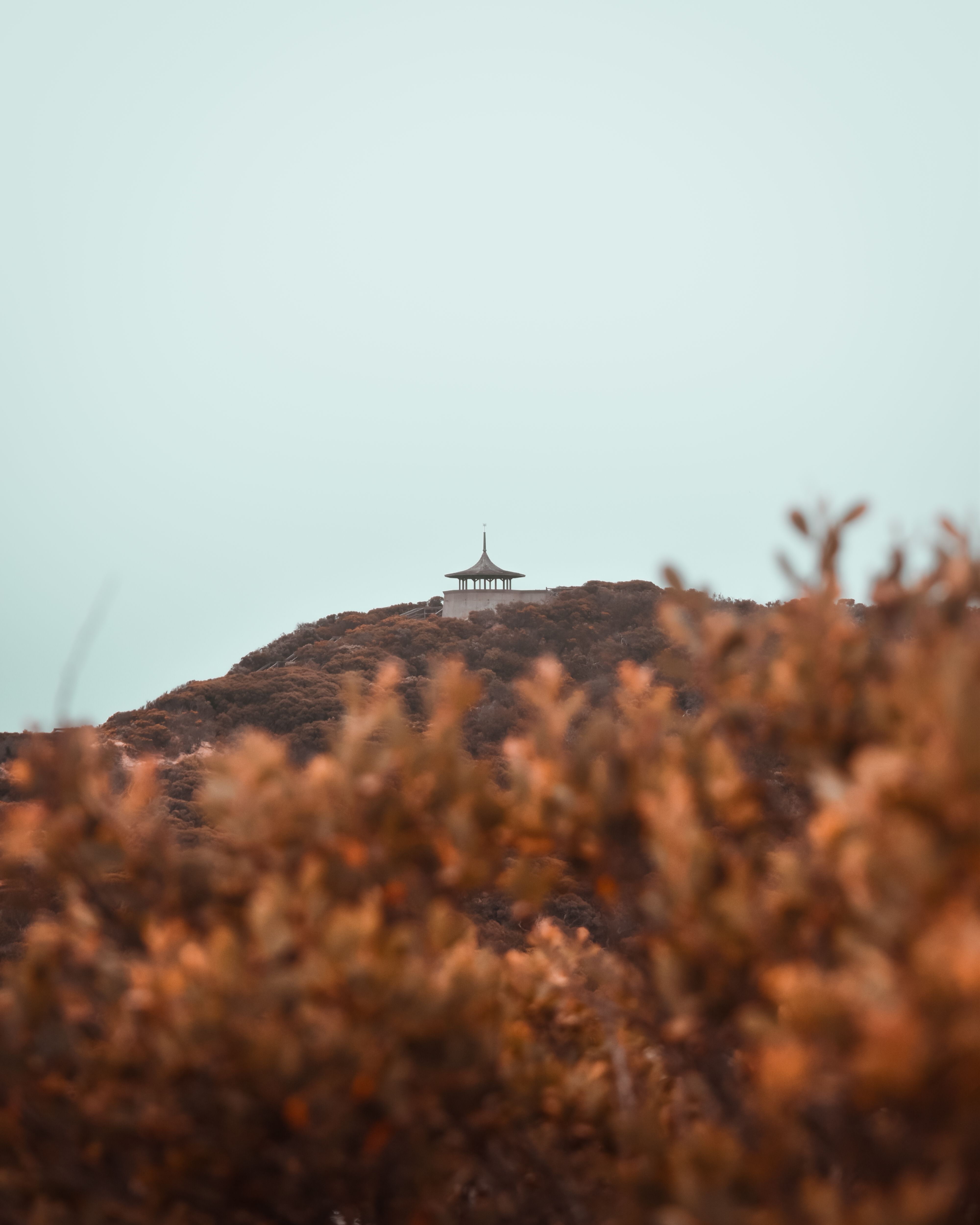 Melbourne Landscape Photos, Download The BEST Free Melbourne Landscape ...
