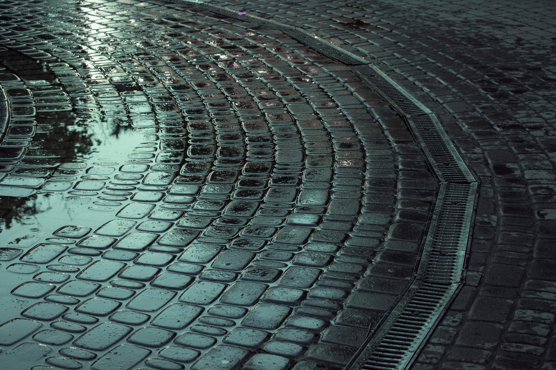 Why You Shouldn’t Ignore Seemingly Small Drainage Problems Why You Shouldn’t Ignore Seemingly Small Drainage Problems