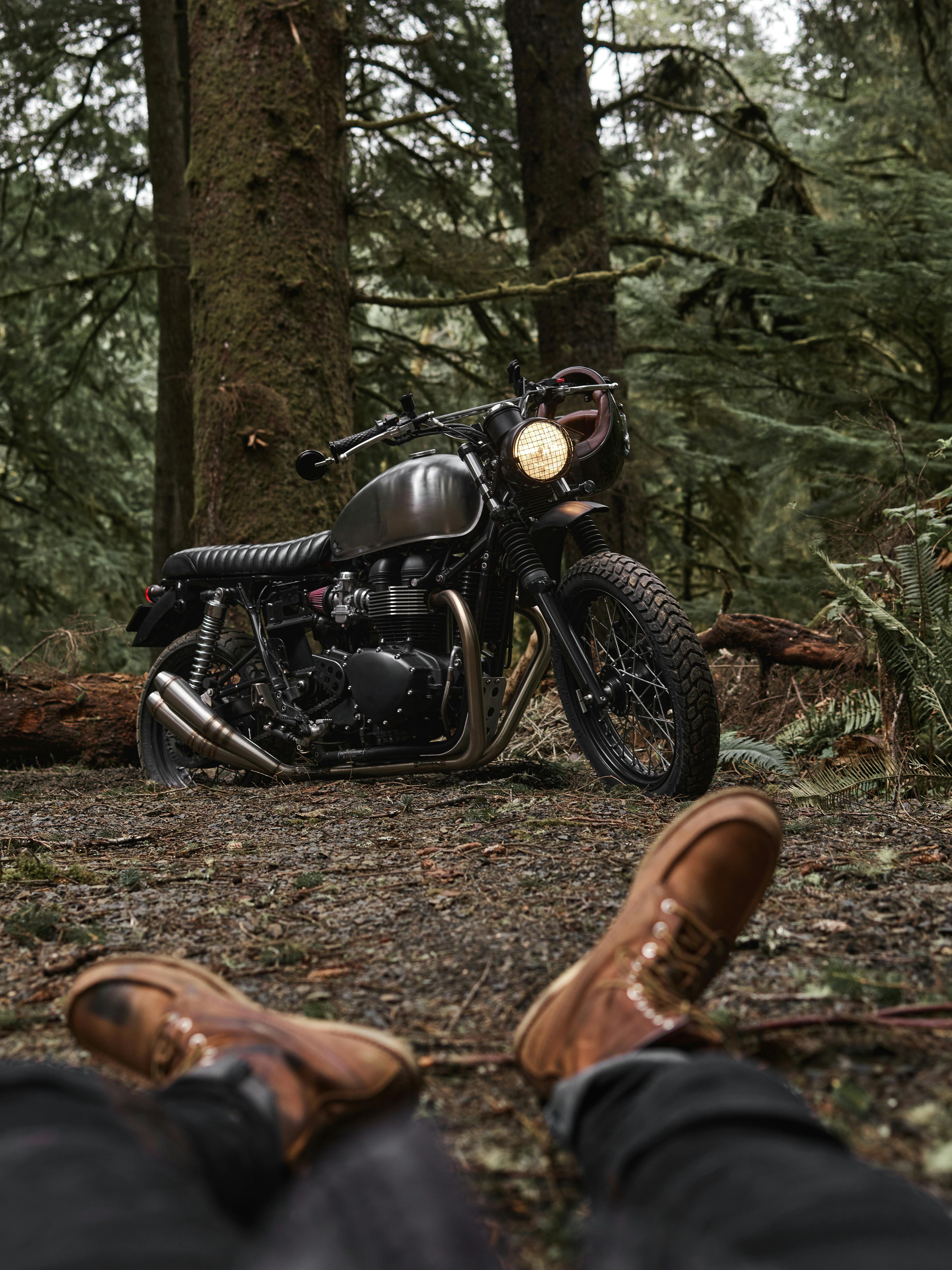 Photo of Two Person Riding Motorcycle in the Middle of Forest · Free ...