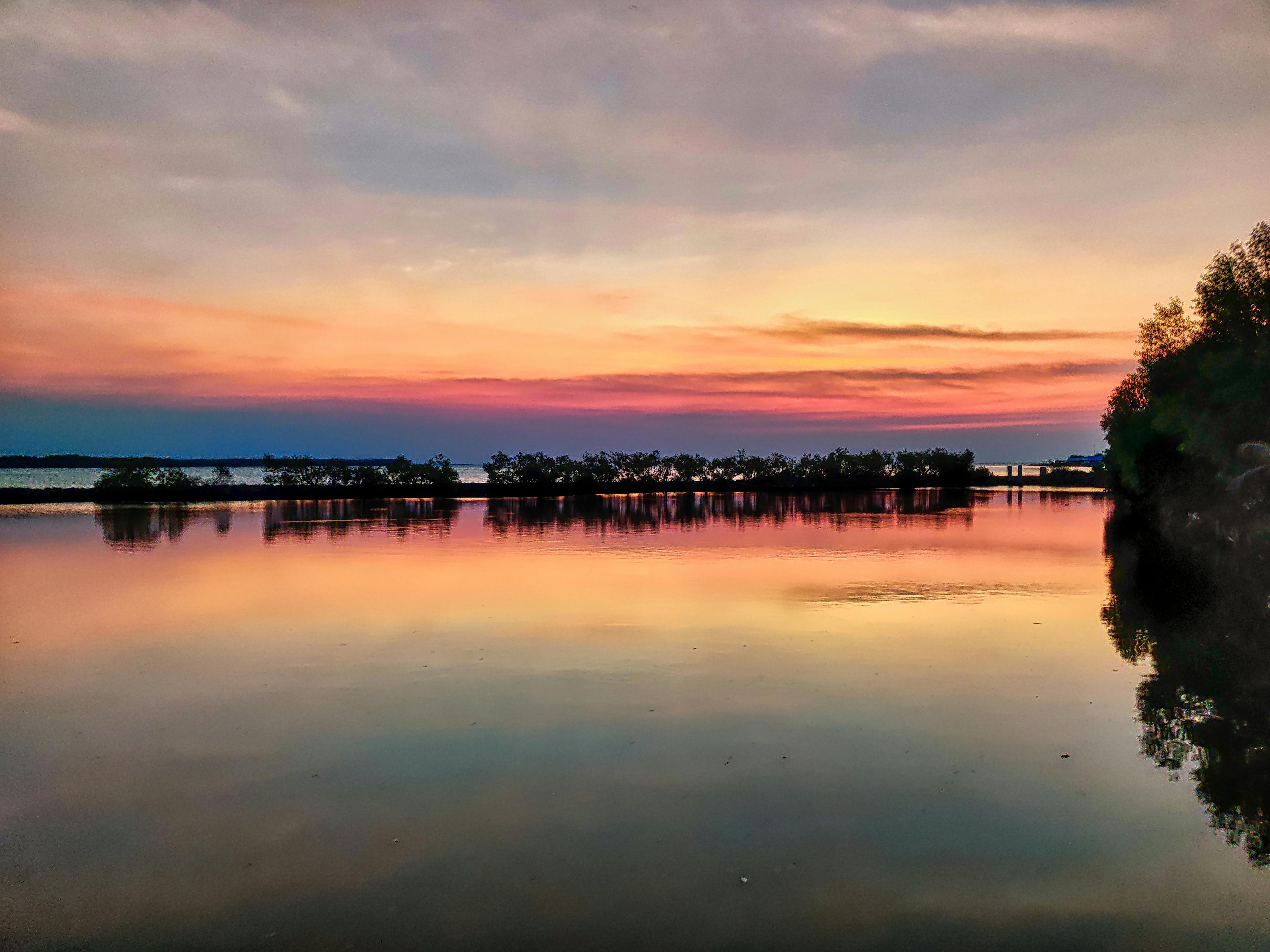 Calm pond with pillars in nature · Free Stock Photo
