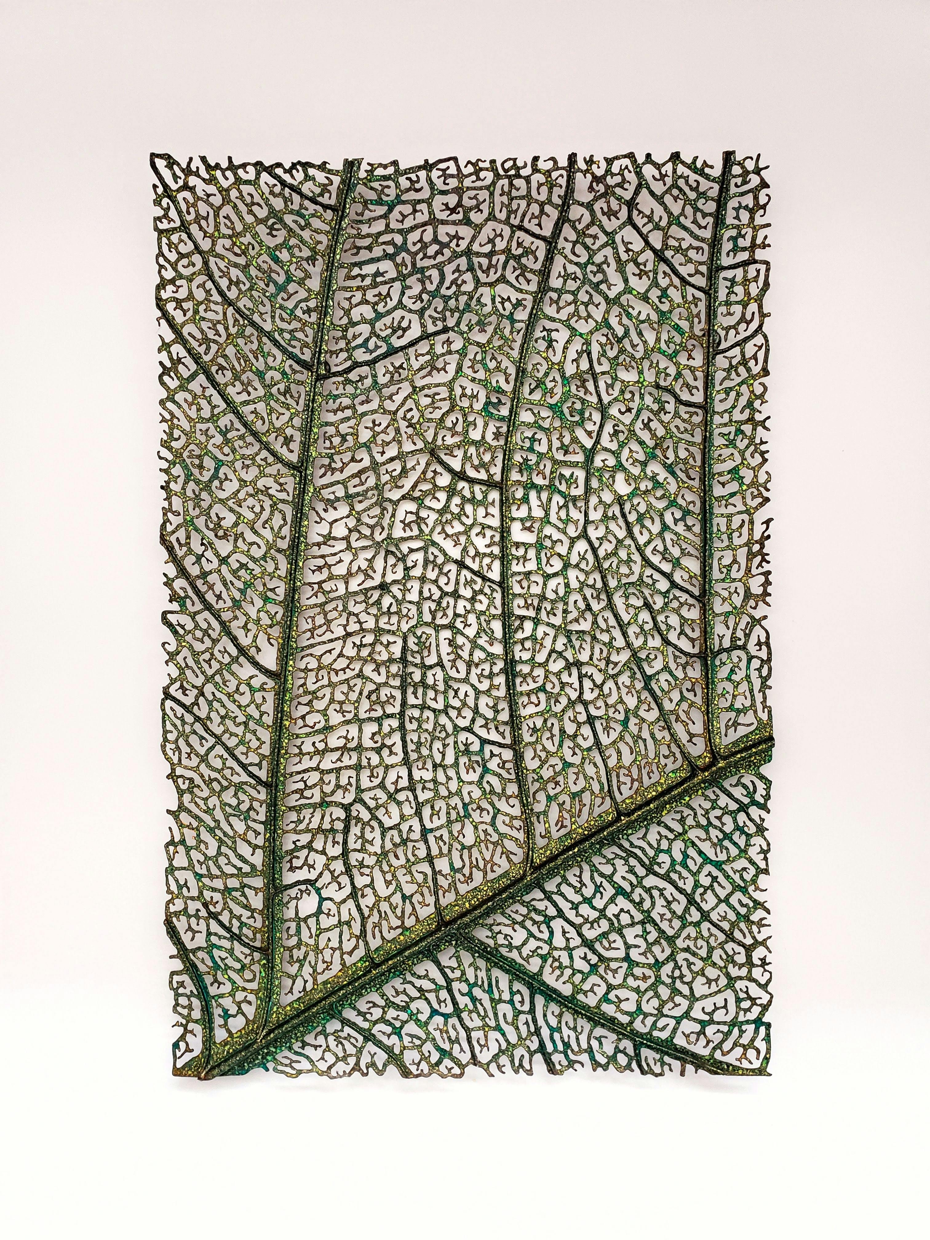 Close-up Photography of White Shells · Free Stock Photo