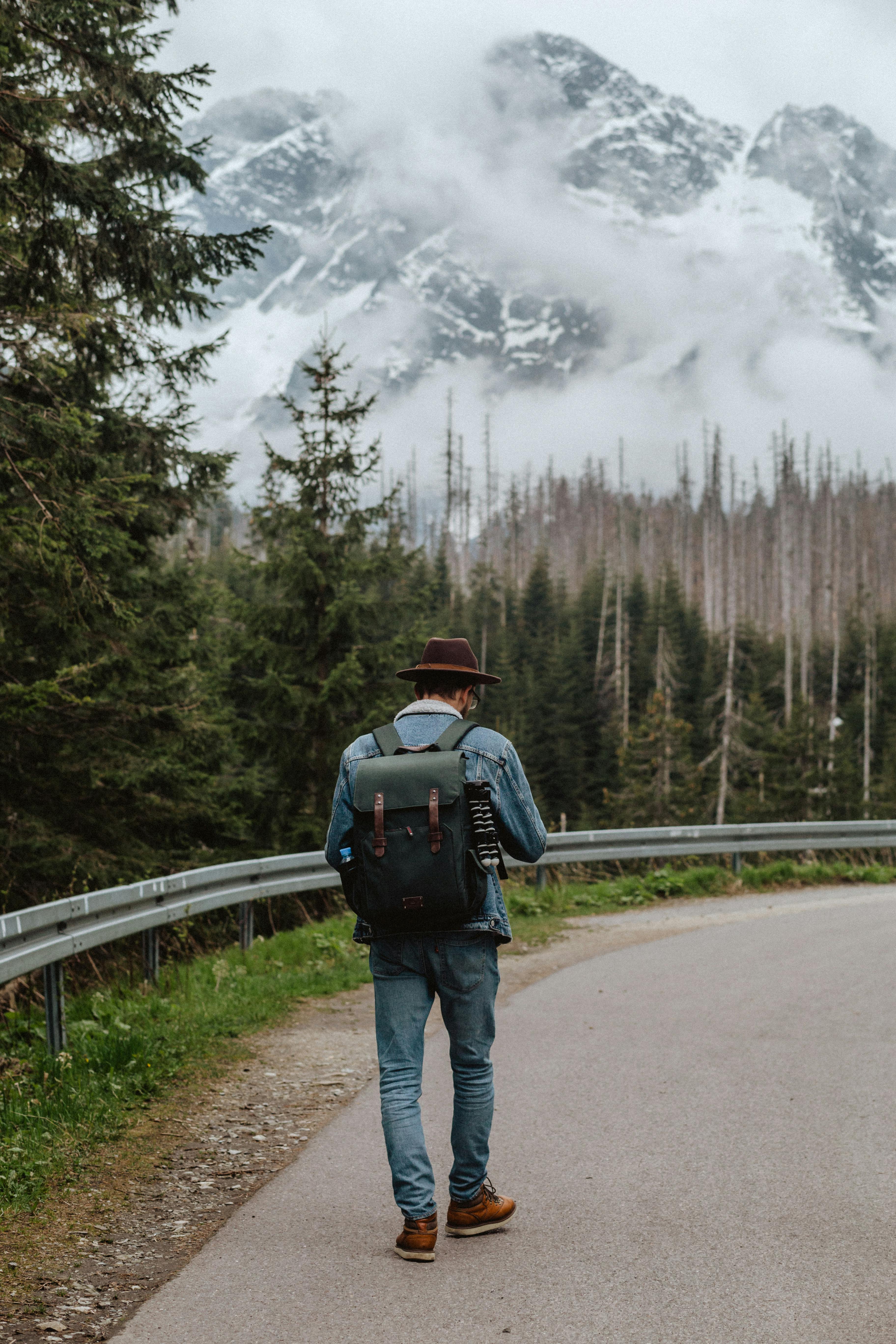 Person Walking on Road Near Trees · Free Stock Photo