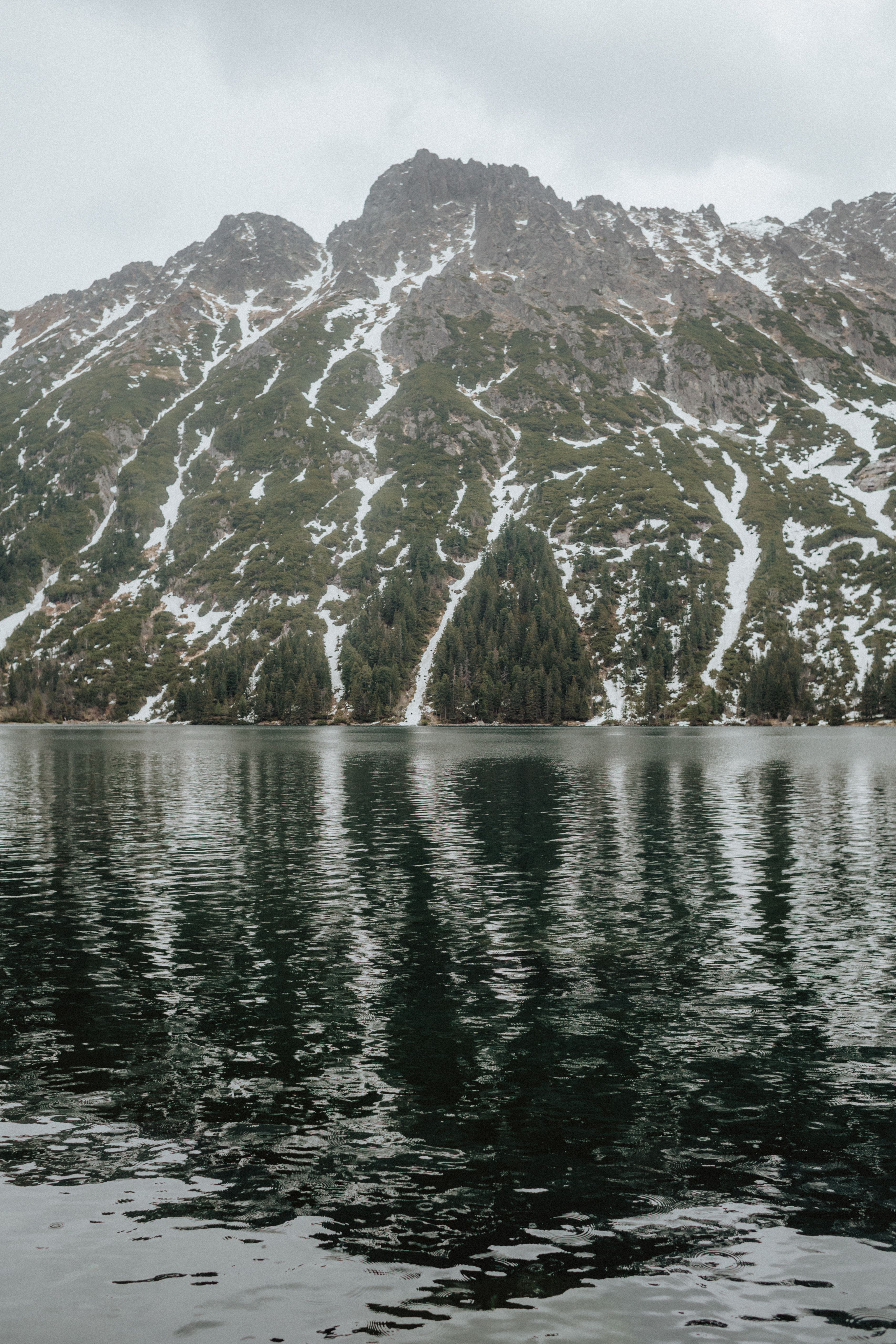 Green Trees and Snow on Mountain Beside a Lake · Free Stock Photo