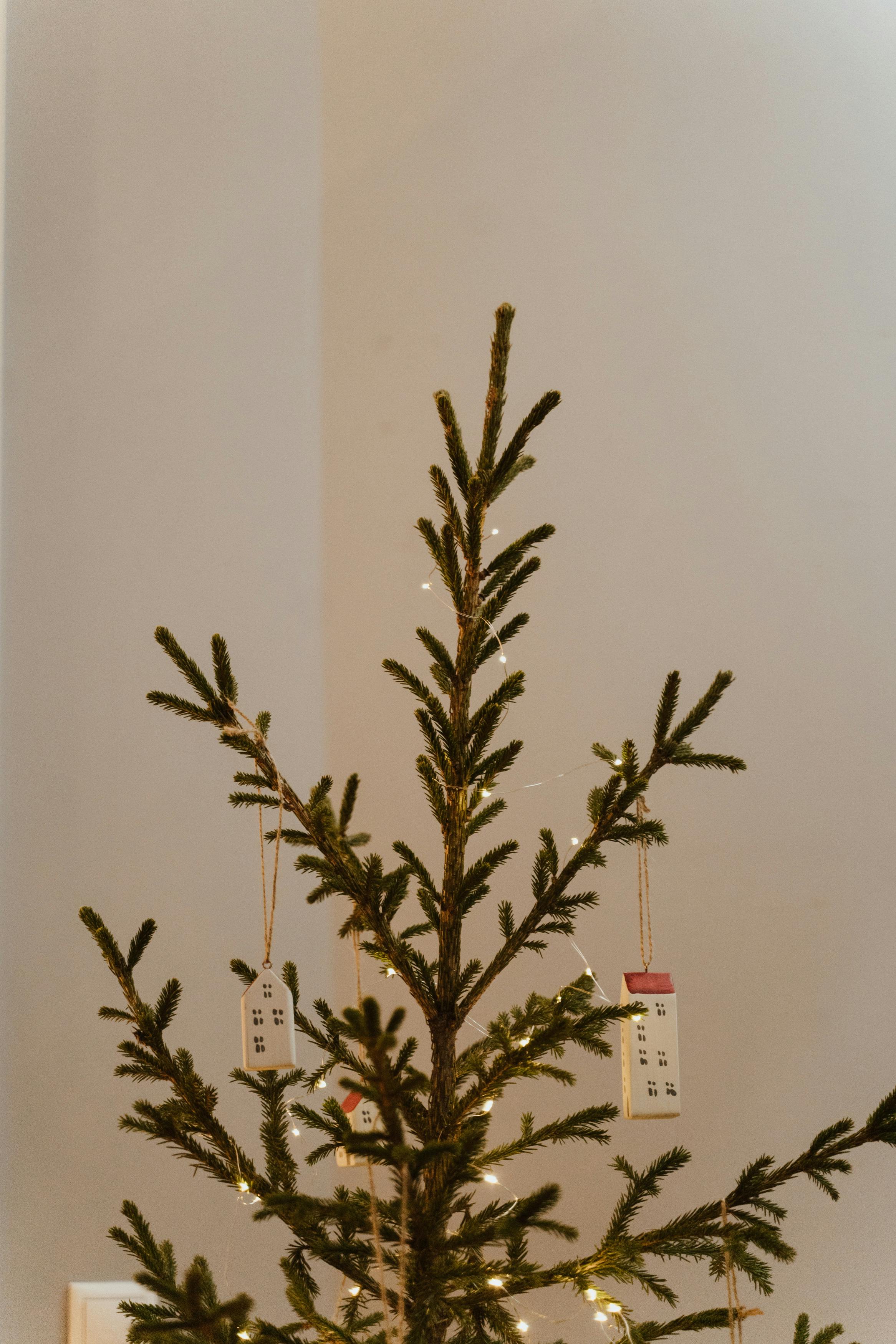 A White Christmas Tree inside a House · Free Stock Photo