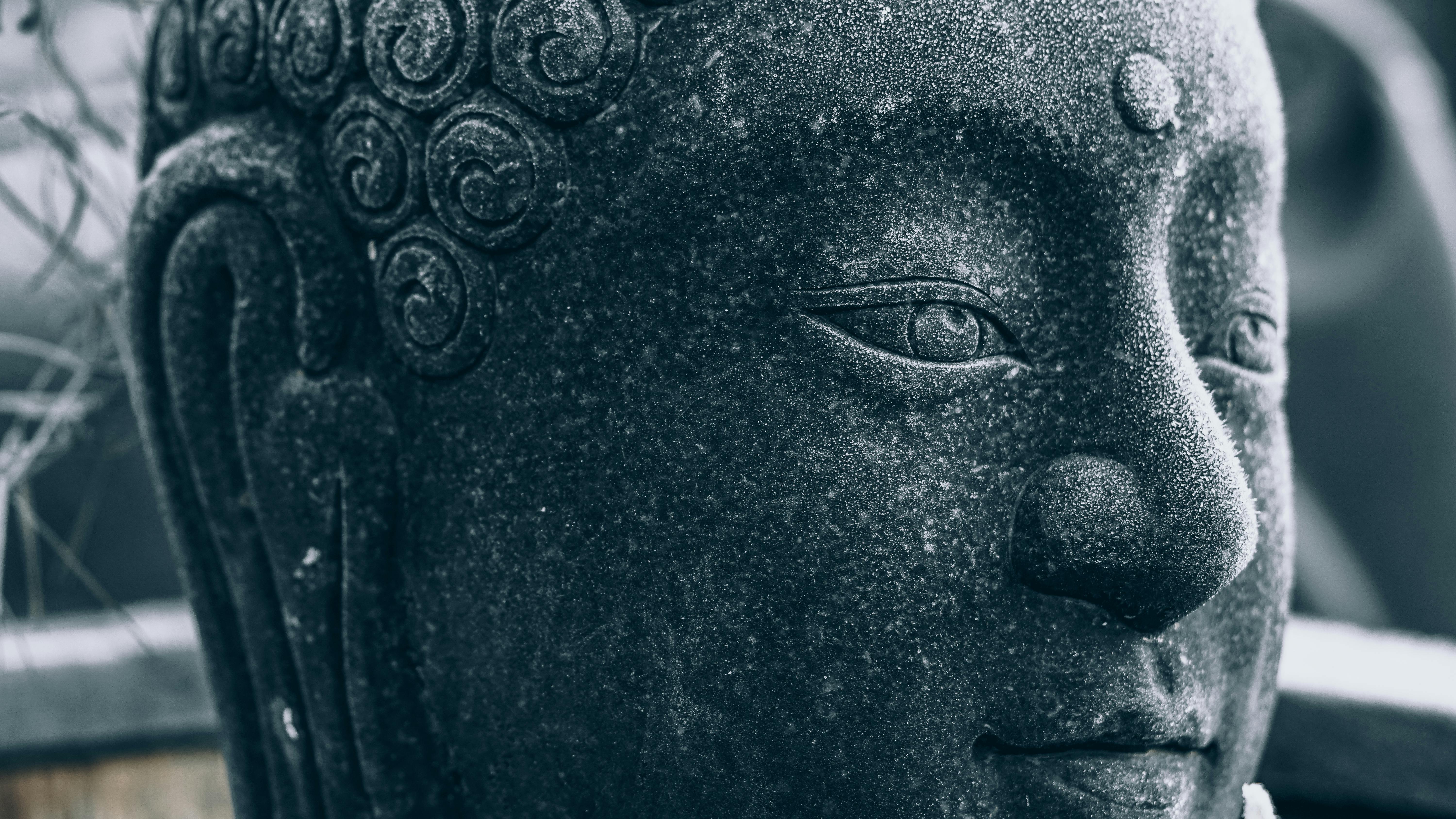 Bitter Face Photos, Download The BEST Free Bitter Face Stock Photos ...