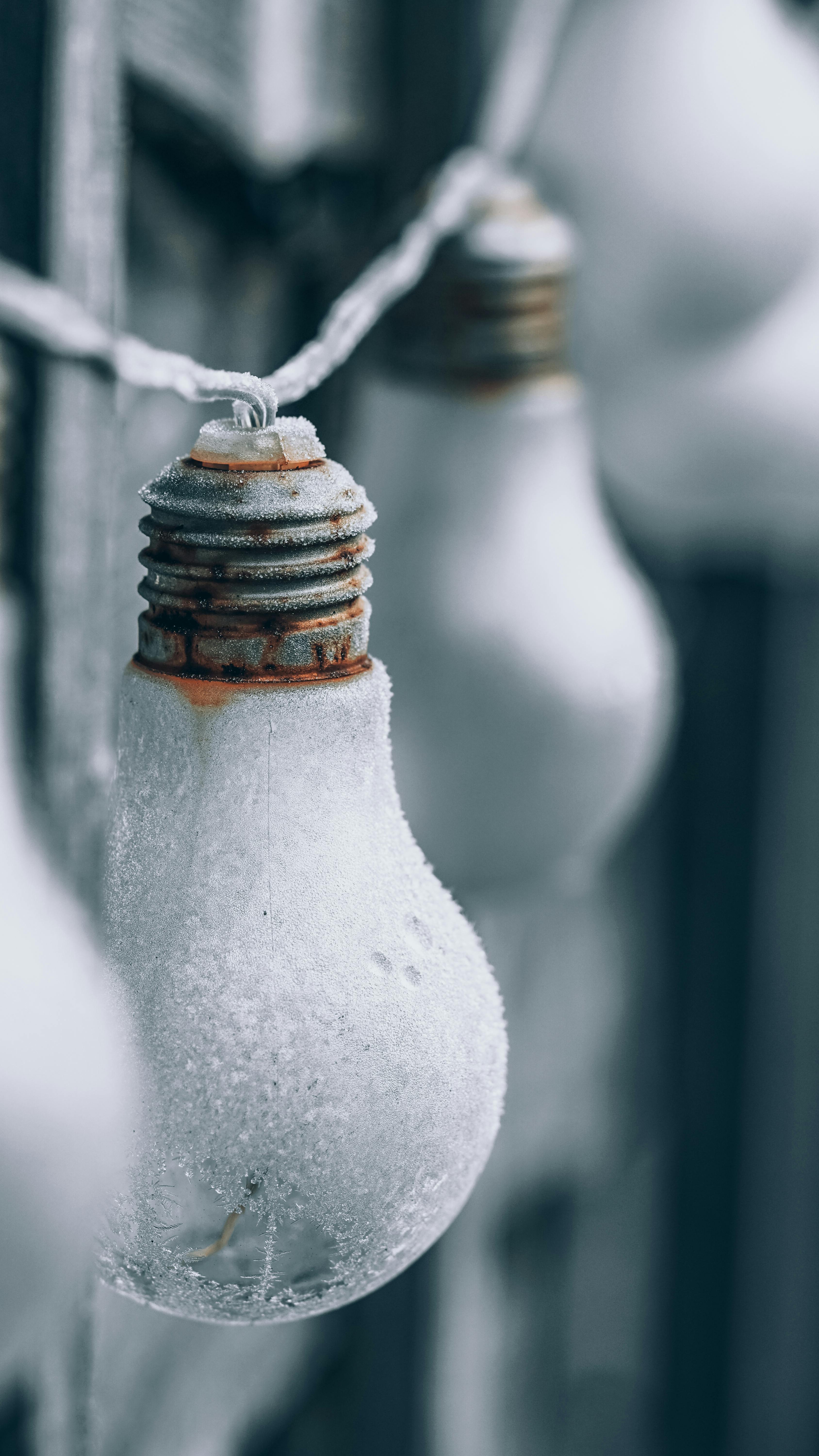Frosted Light Bulb · Free Stock Photo