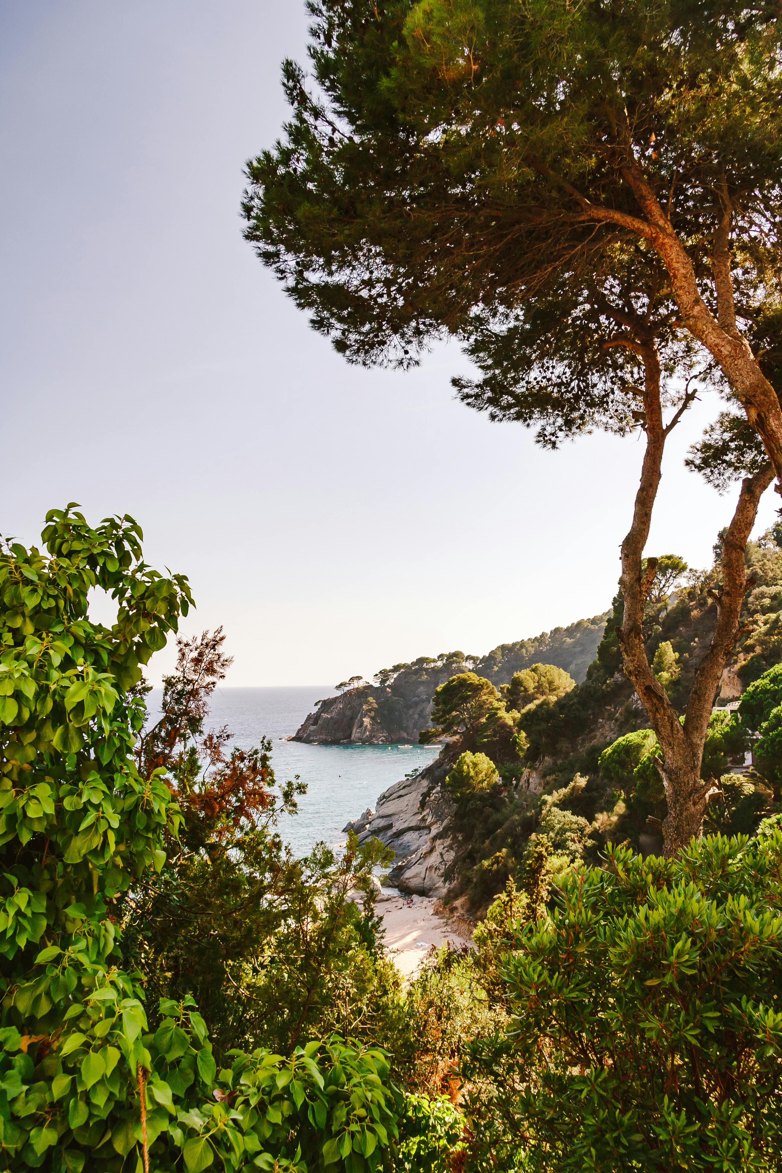 Free stock photo of catalonia, coast, costa brava