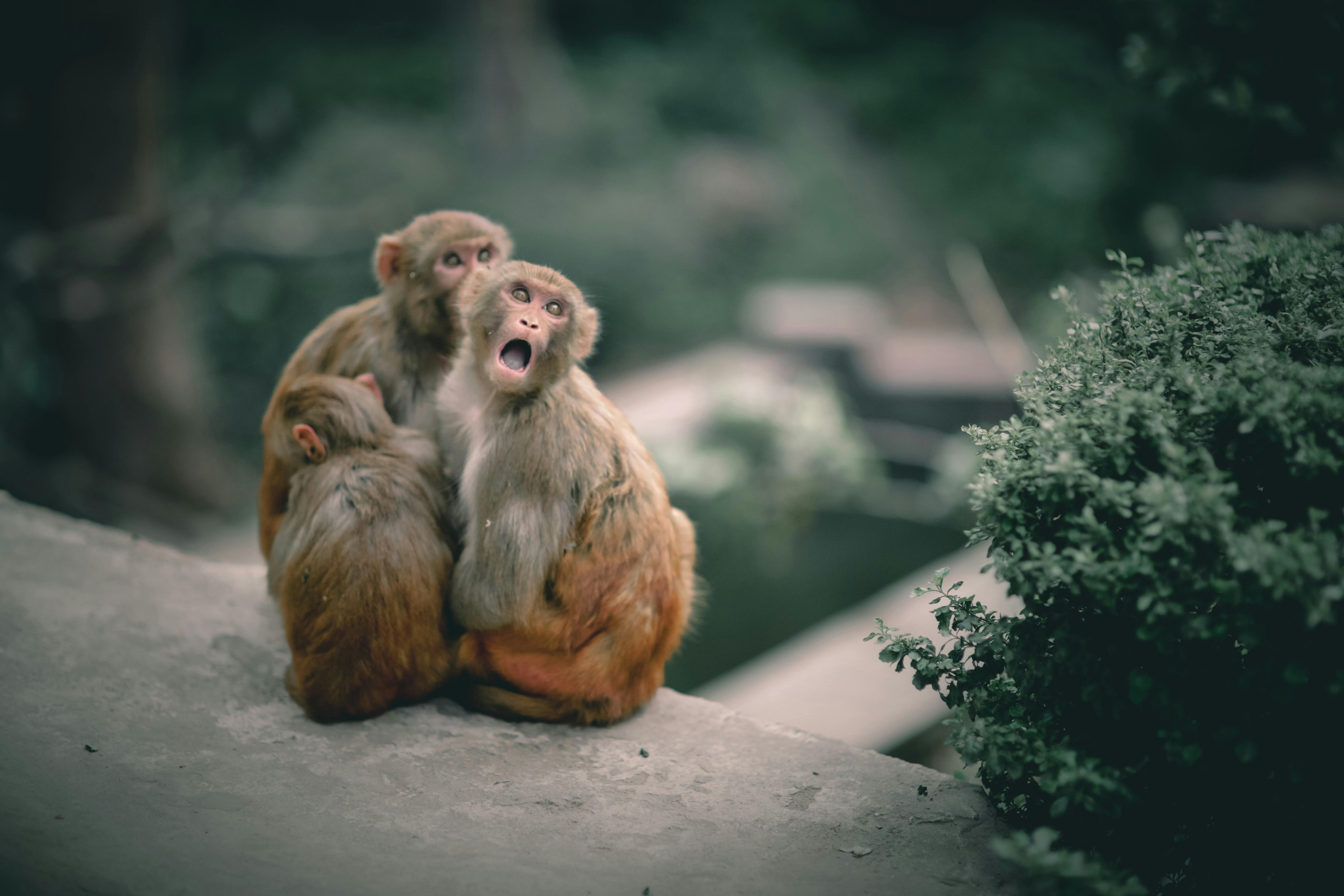 Brown Skinned Baby Background Photos, Download The BEST Free Brown ...