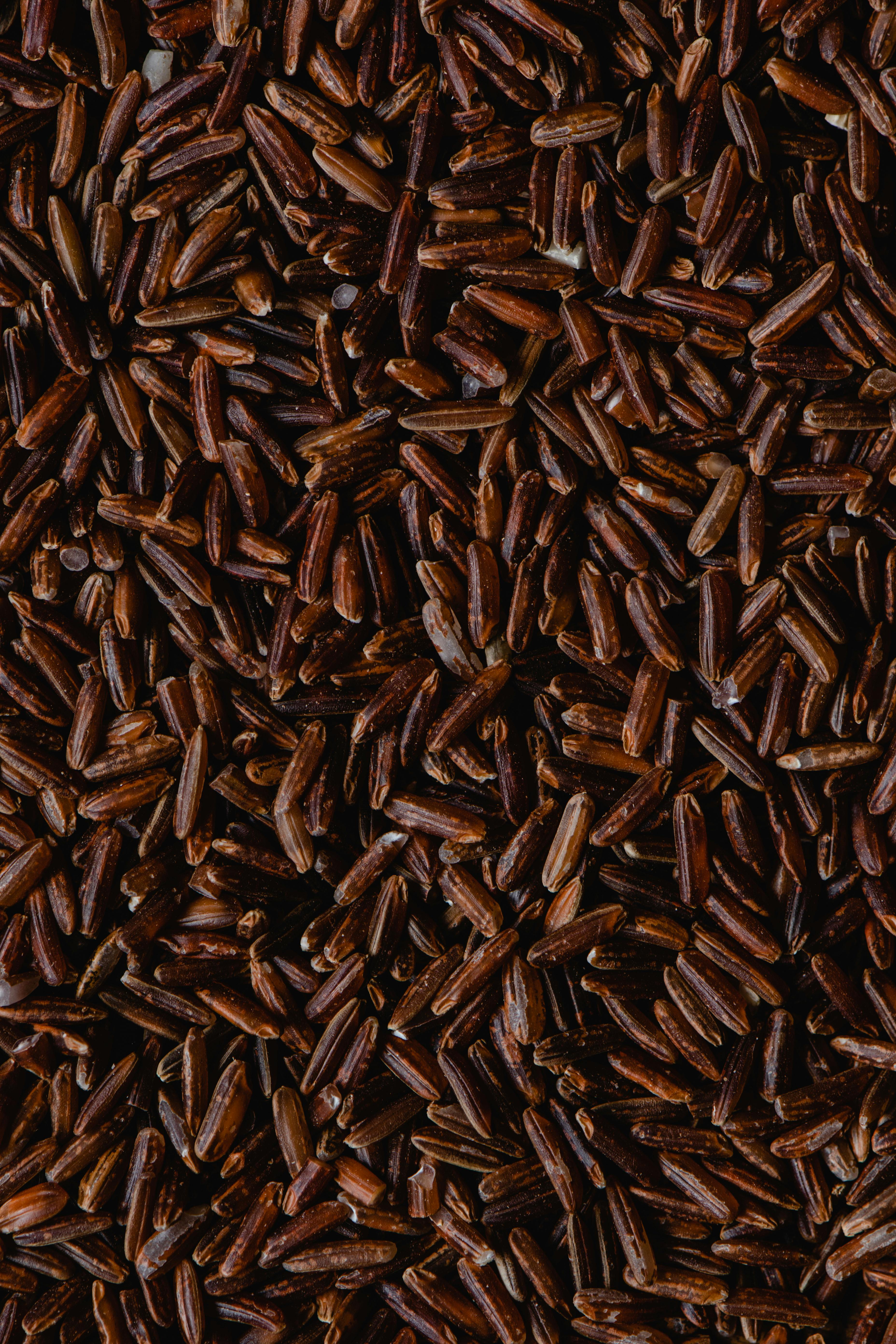 Close-Up Shot Red Rice Grains · Free Stock Photo