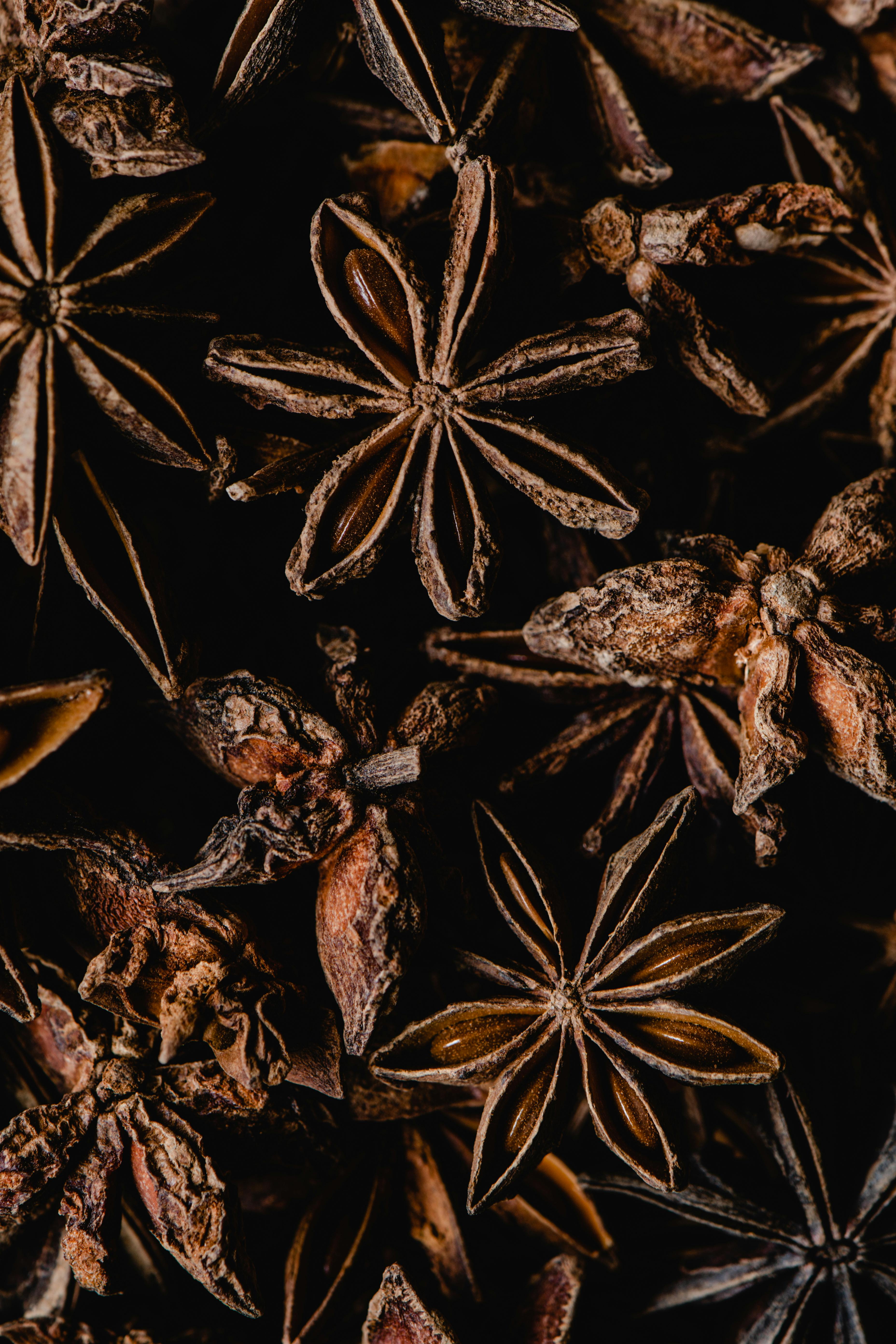 Close-Up Shot of Star Anise · Free Stock Photo
