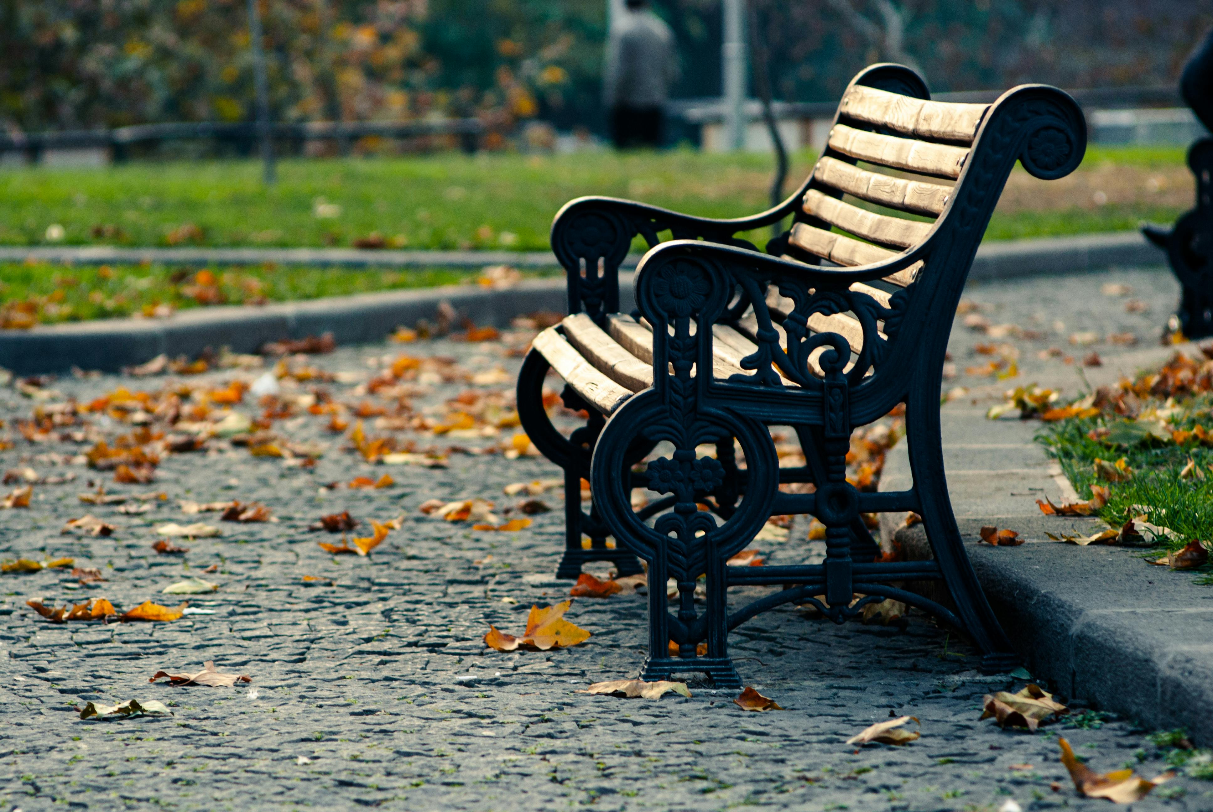 A Close-Up Shot of a Bench on a Park · Free Stock Photo