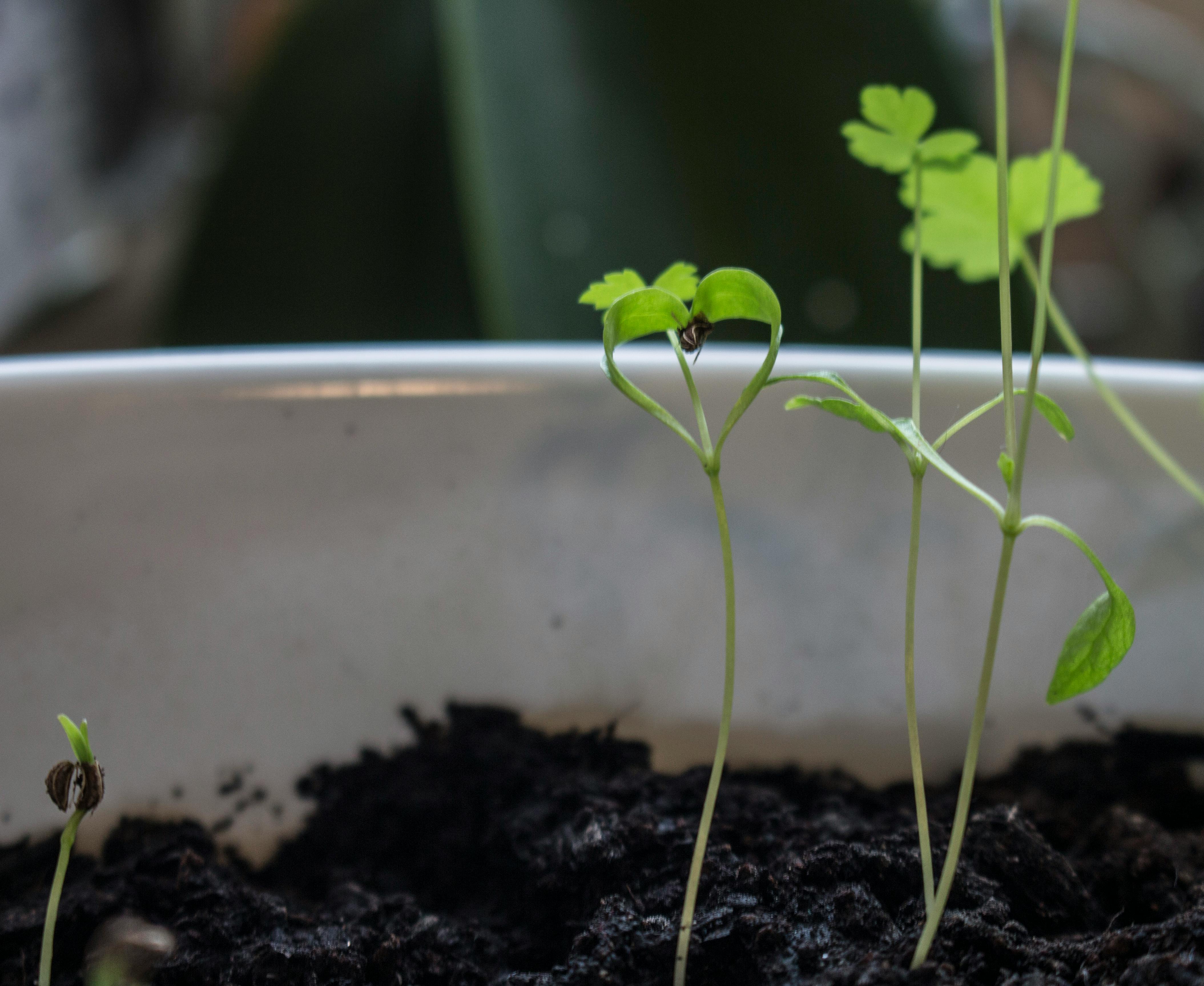 Alexander Starke - 사진