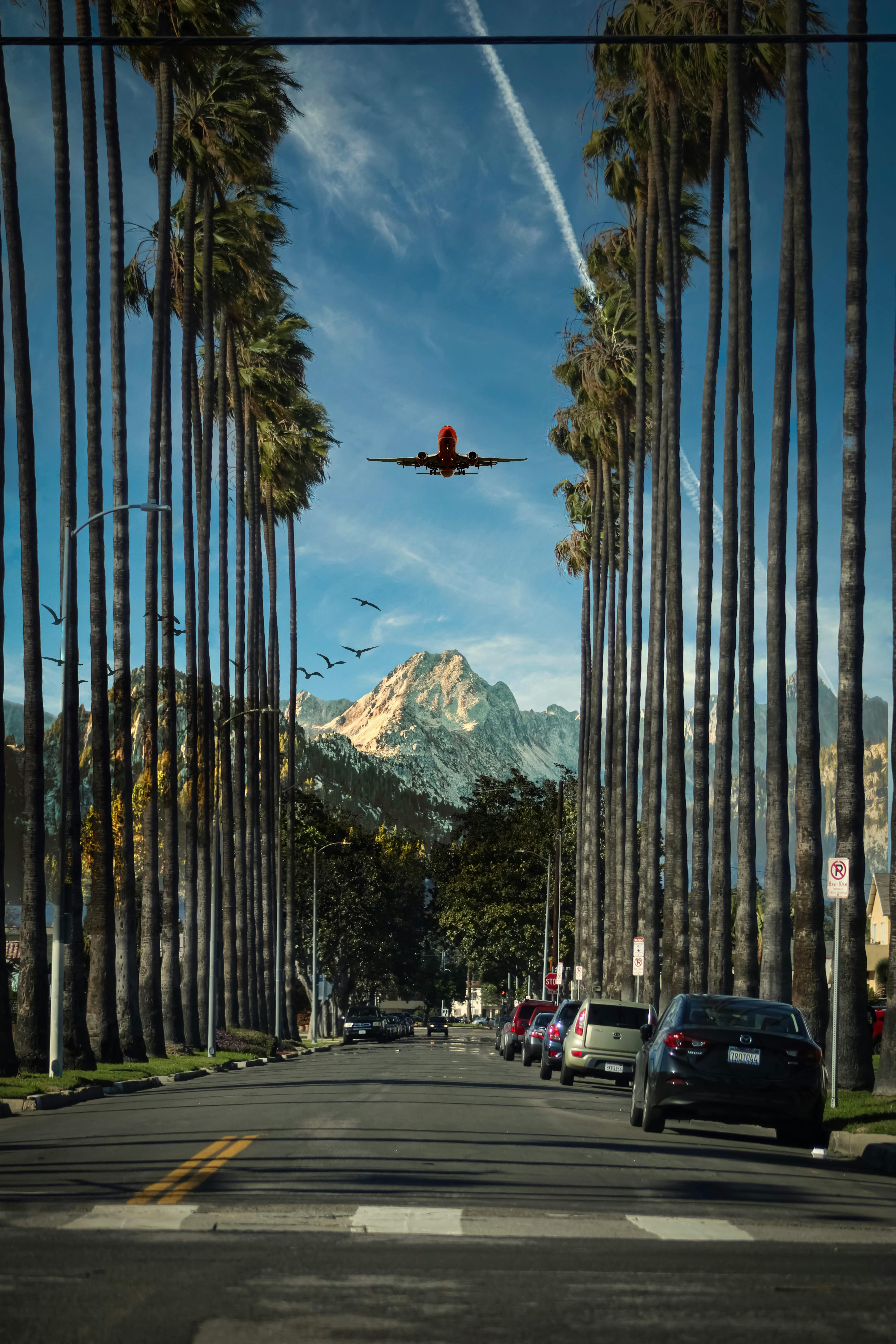 Flying Cars Photos, Download The BEST Free Flying Cars Stock Photos ...