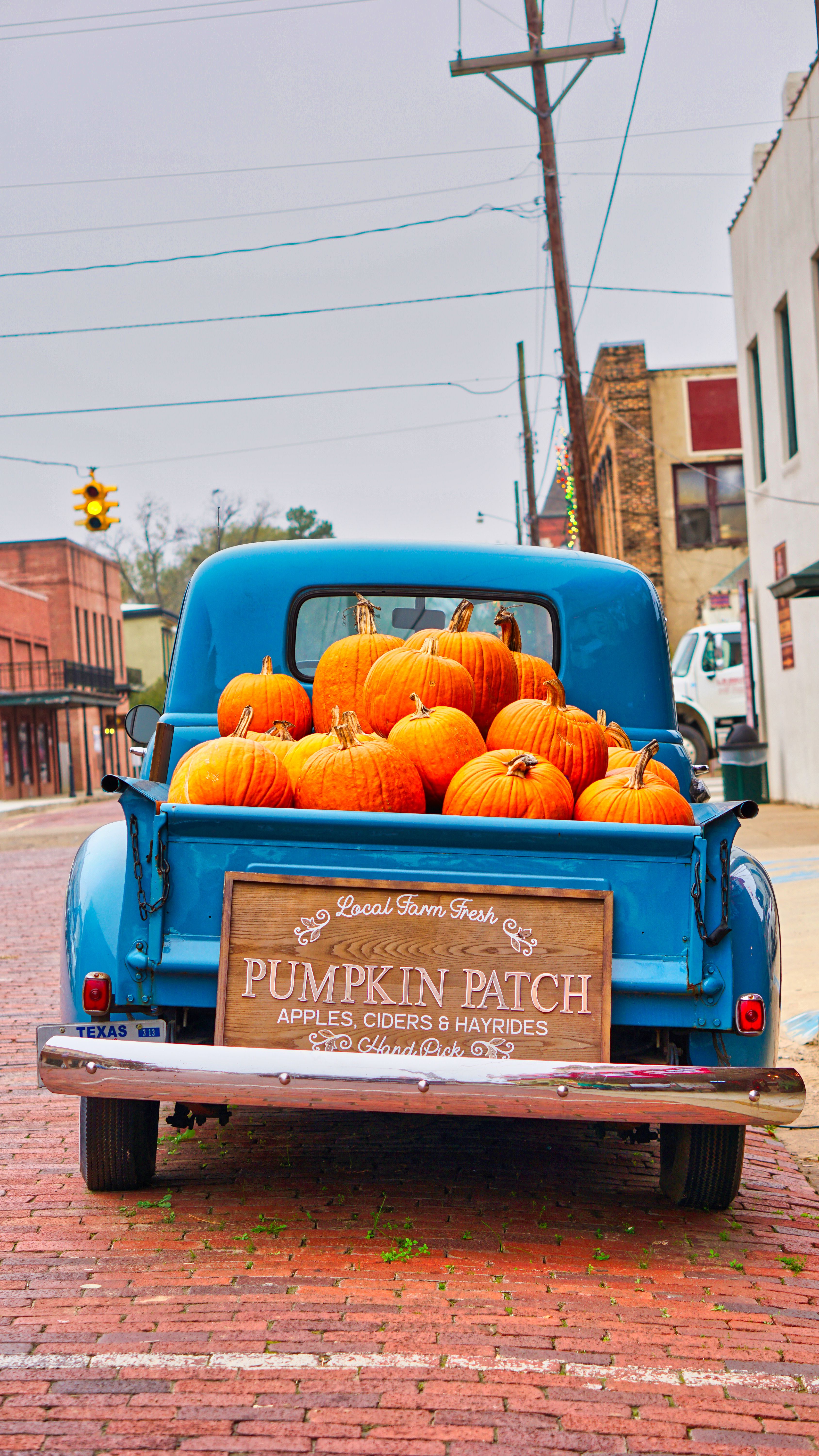 Fall Hayrides Photos, Download The BEST Free Fall Hayrides Stock Photos ...