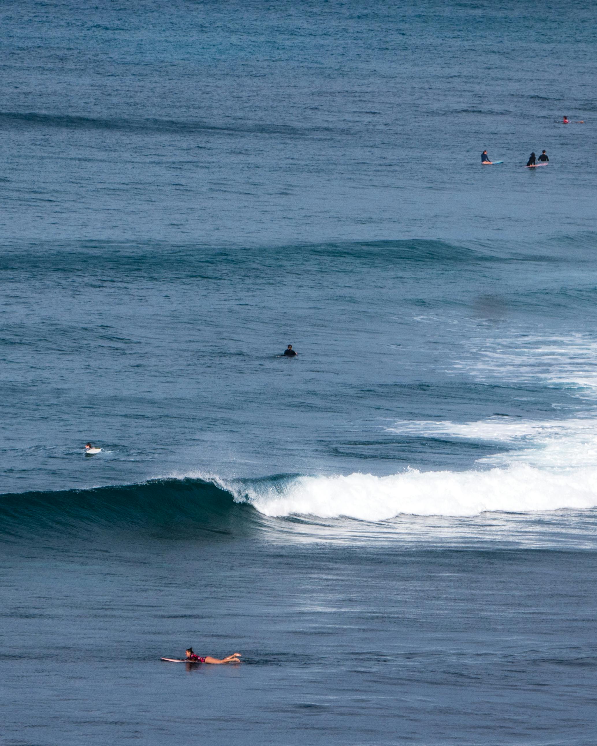 People Surfing on Wavy Sea · Free Stock Photo