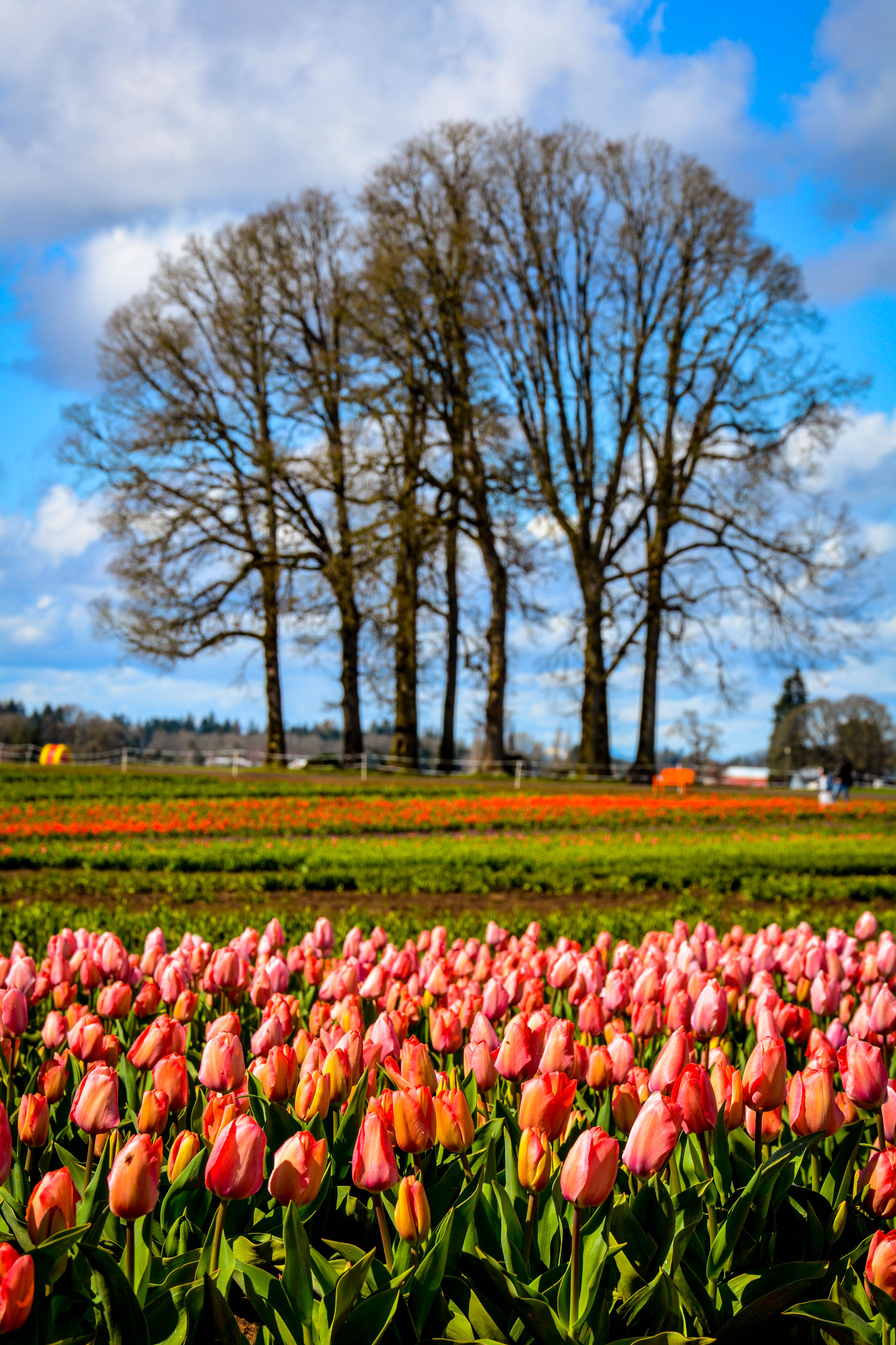 Oregon Wallpaper Photos, Download The BEST Free Oregon Wallpaper Stock ...