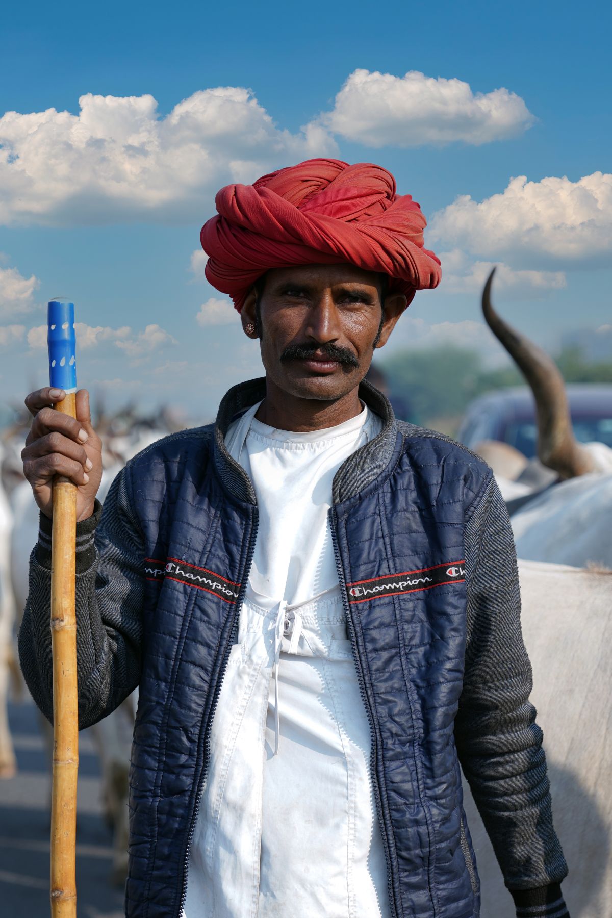 Hitesh Chaudhary Photos, Download The BEST Free Hitesh Chaudhary Stock ...
