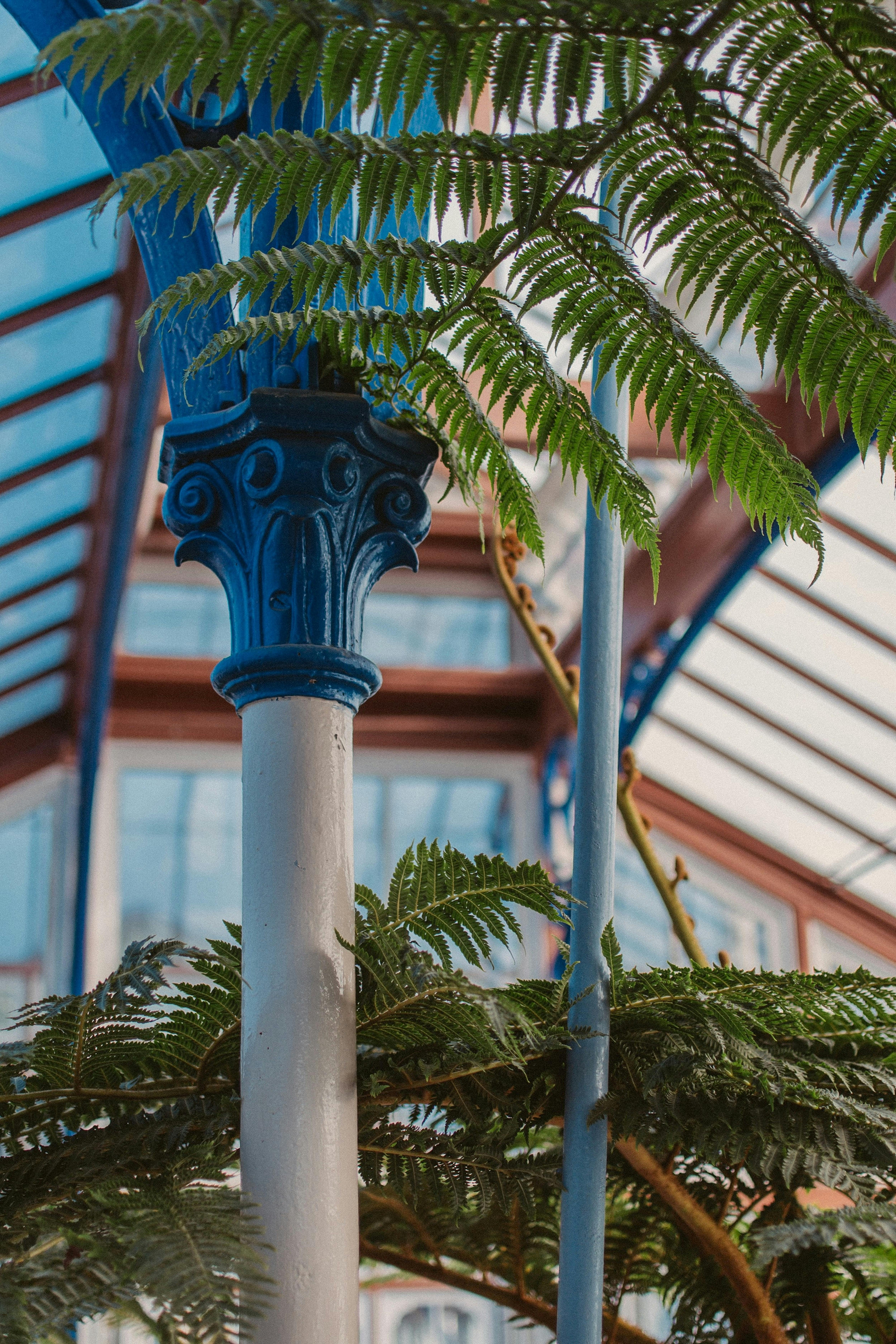 Capes Post Photos, Download The BEST Free Capes Post Stock Photos & HD ...