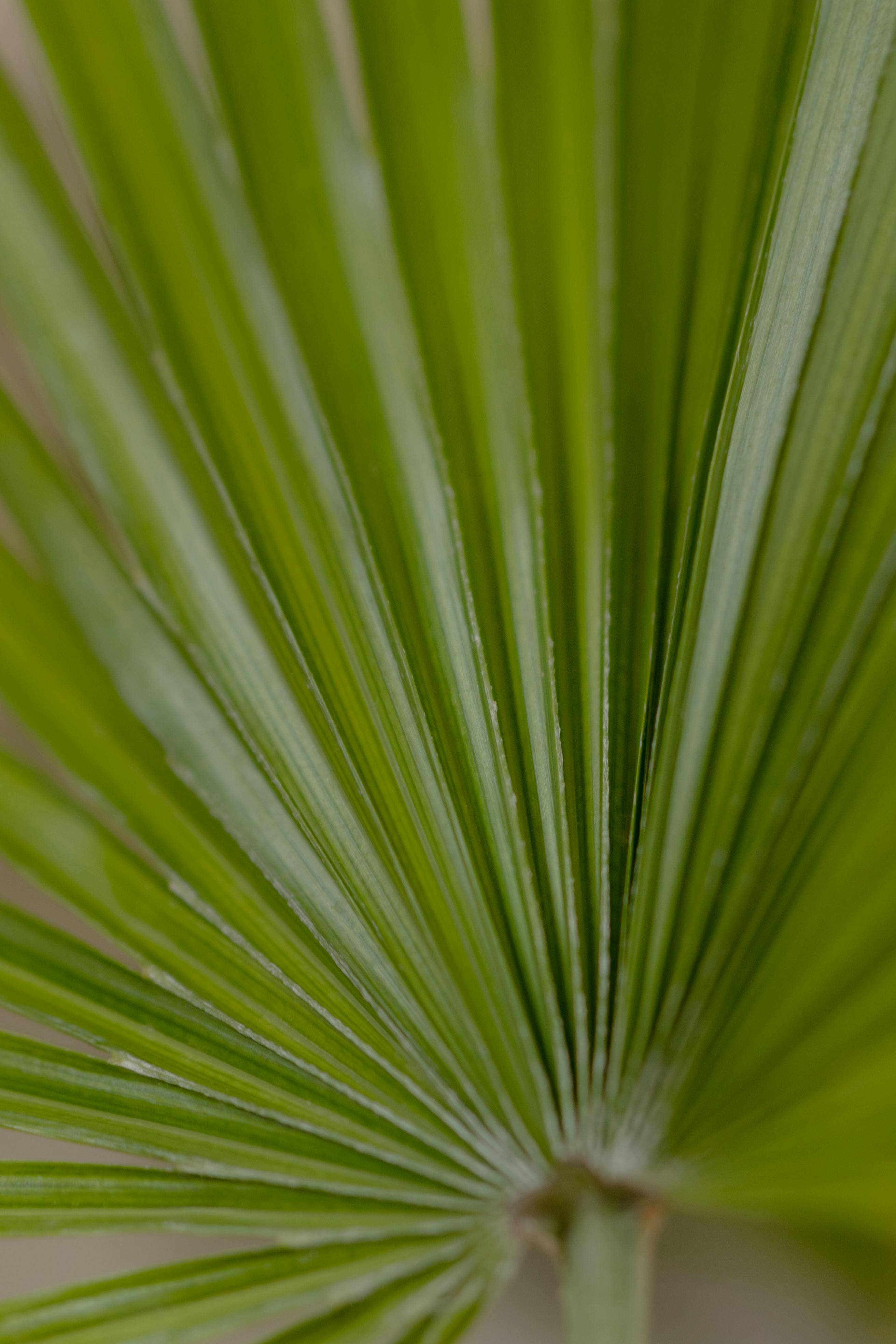 Textures Photos, Download The BEST Free Textures Stock Photos & HD Images