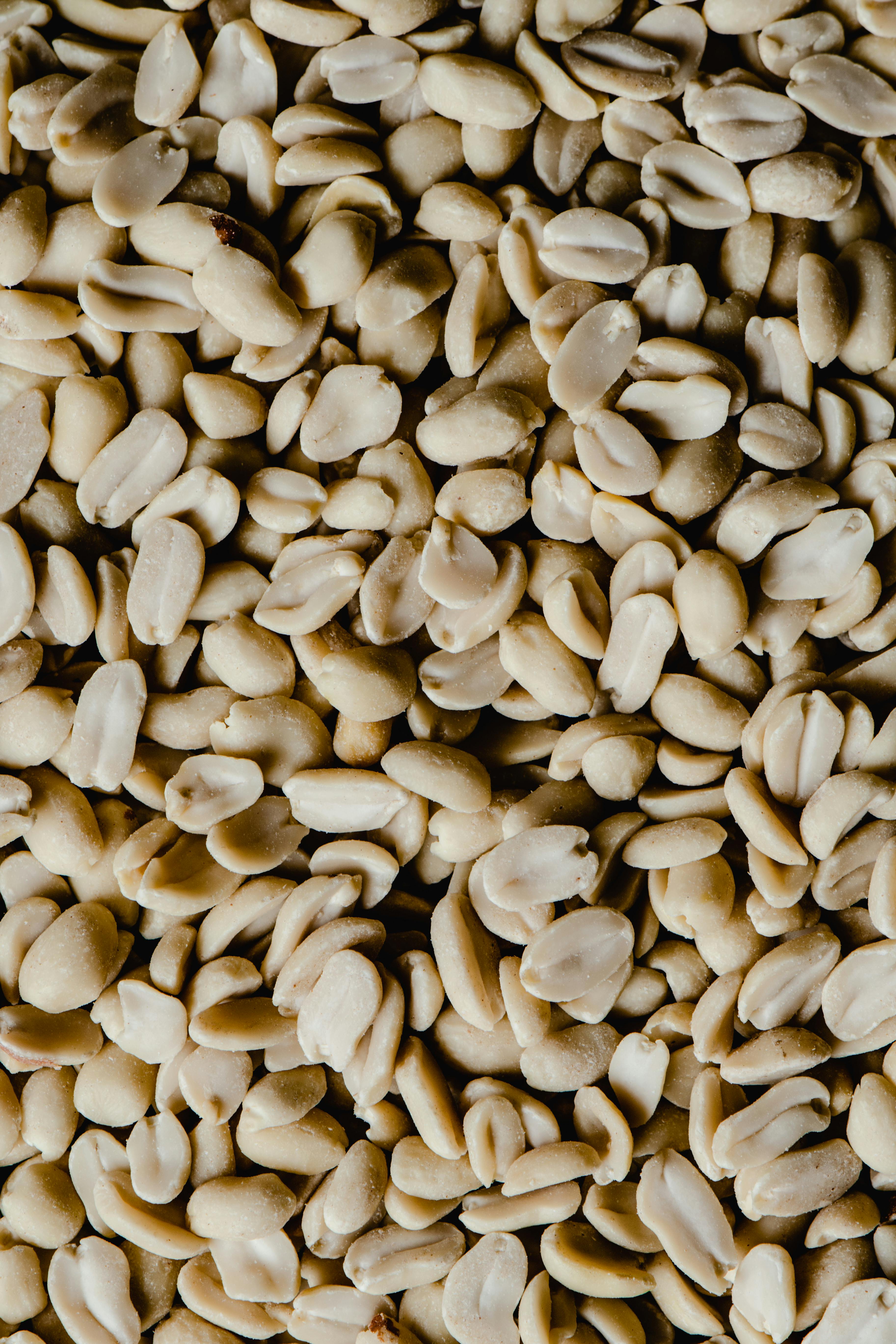 Close Up Photo of Shelled Peanuts · Free Stock Photo