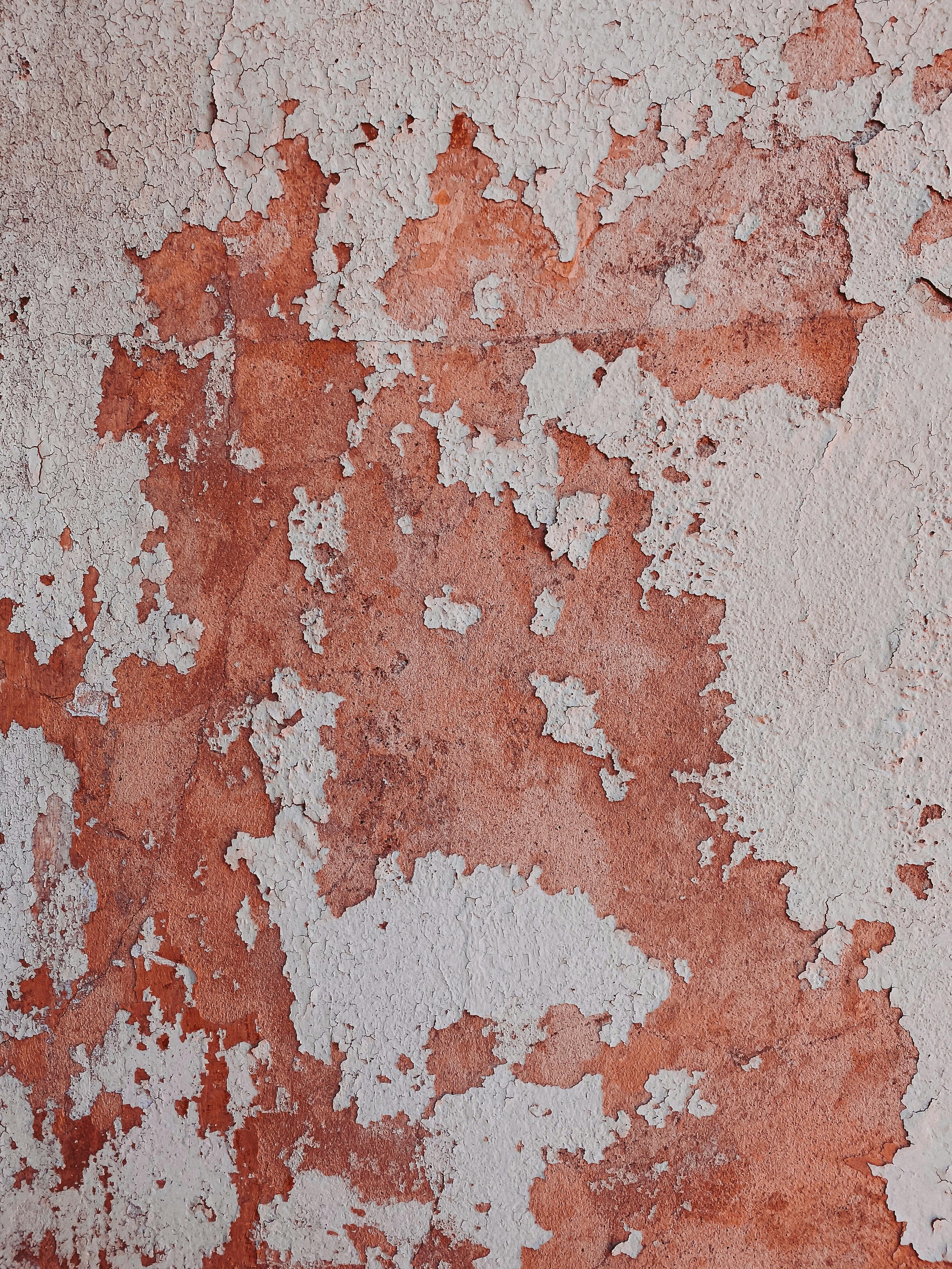 Texture and Surface of a Rustic Wall · Free Stock Photo