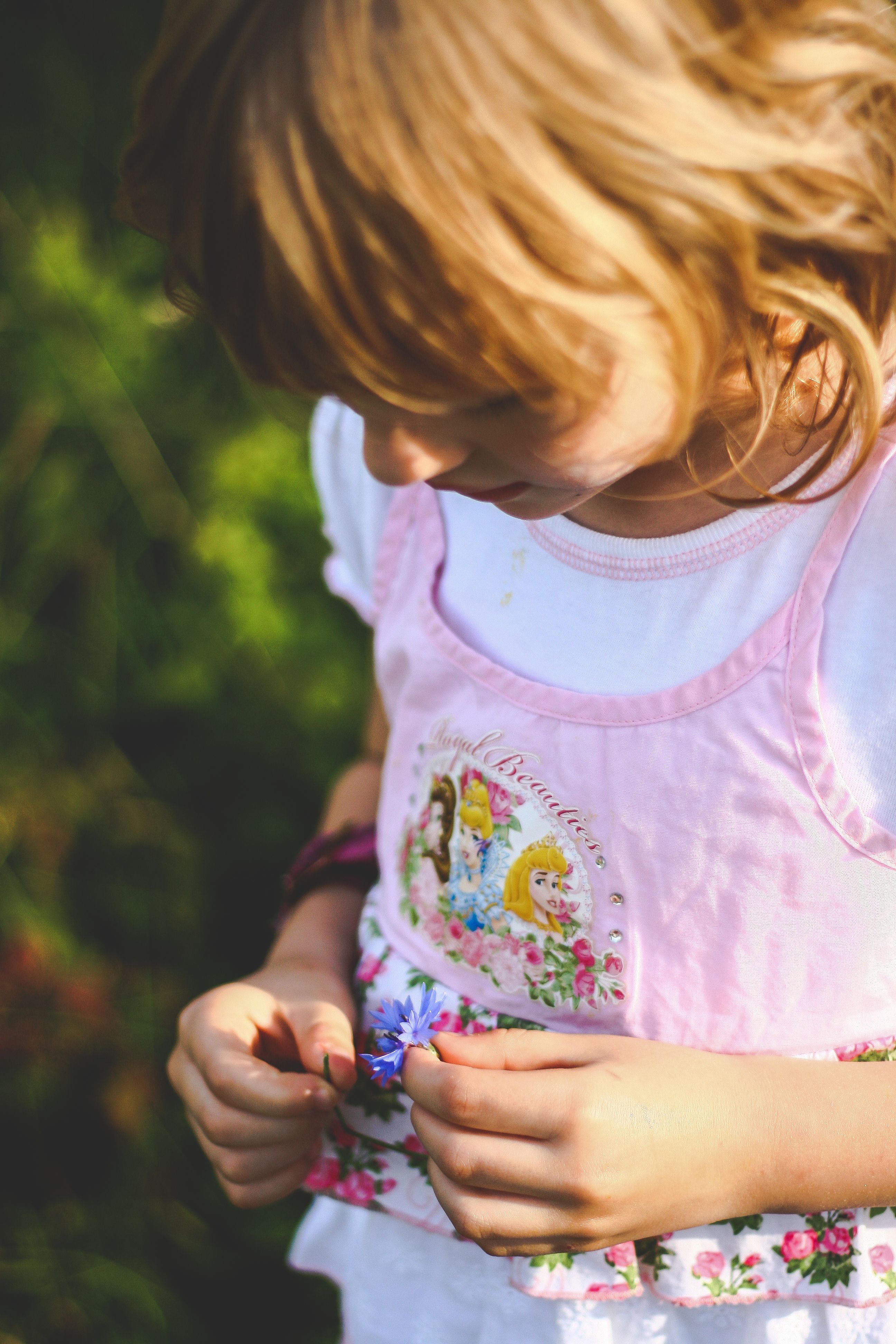 Autism+Flower Photos, Download The BEST Free Autism+Flower Stock Photos ...