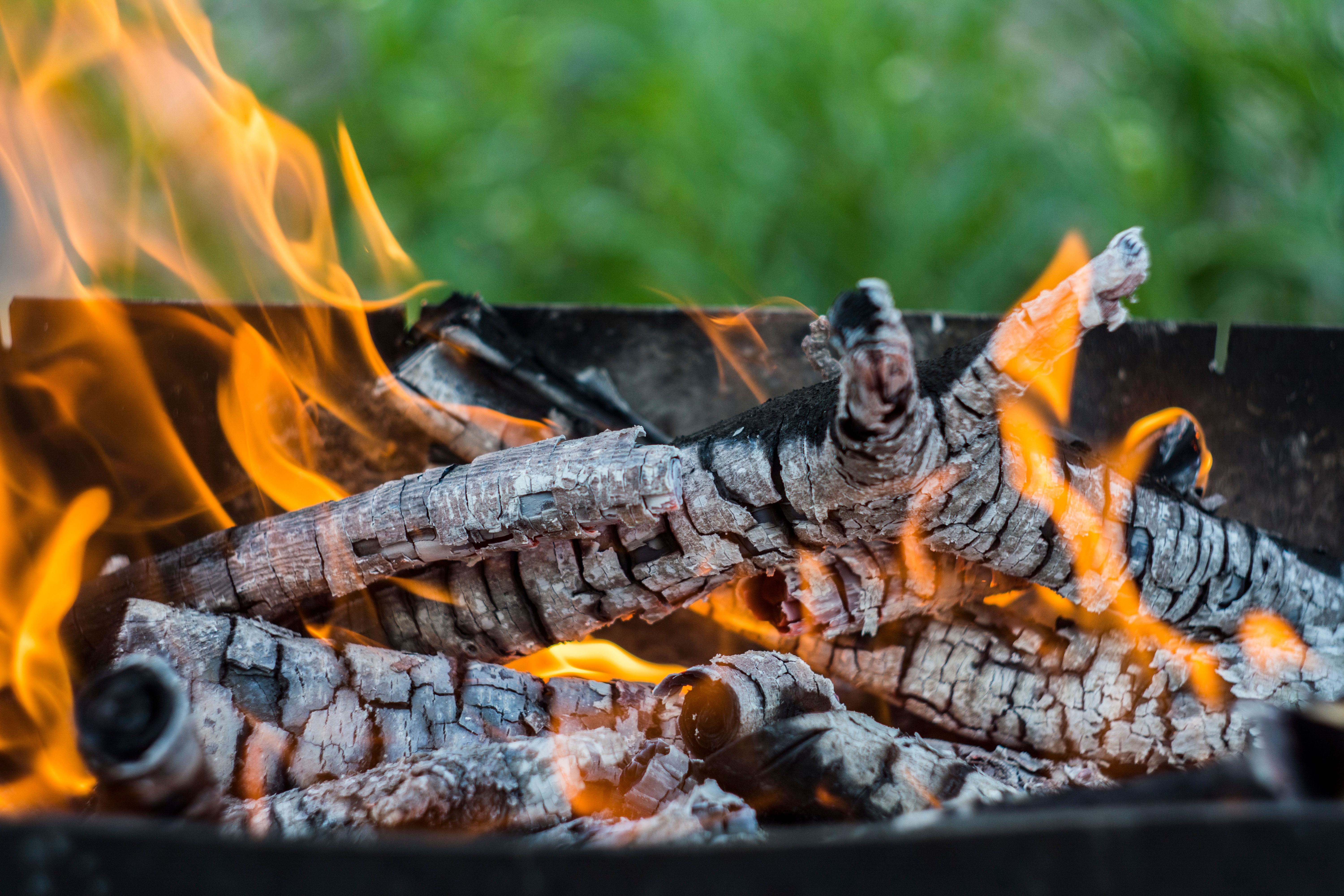 Burning Wood on Fire Pit · Free Stock Photo