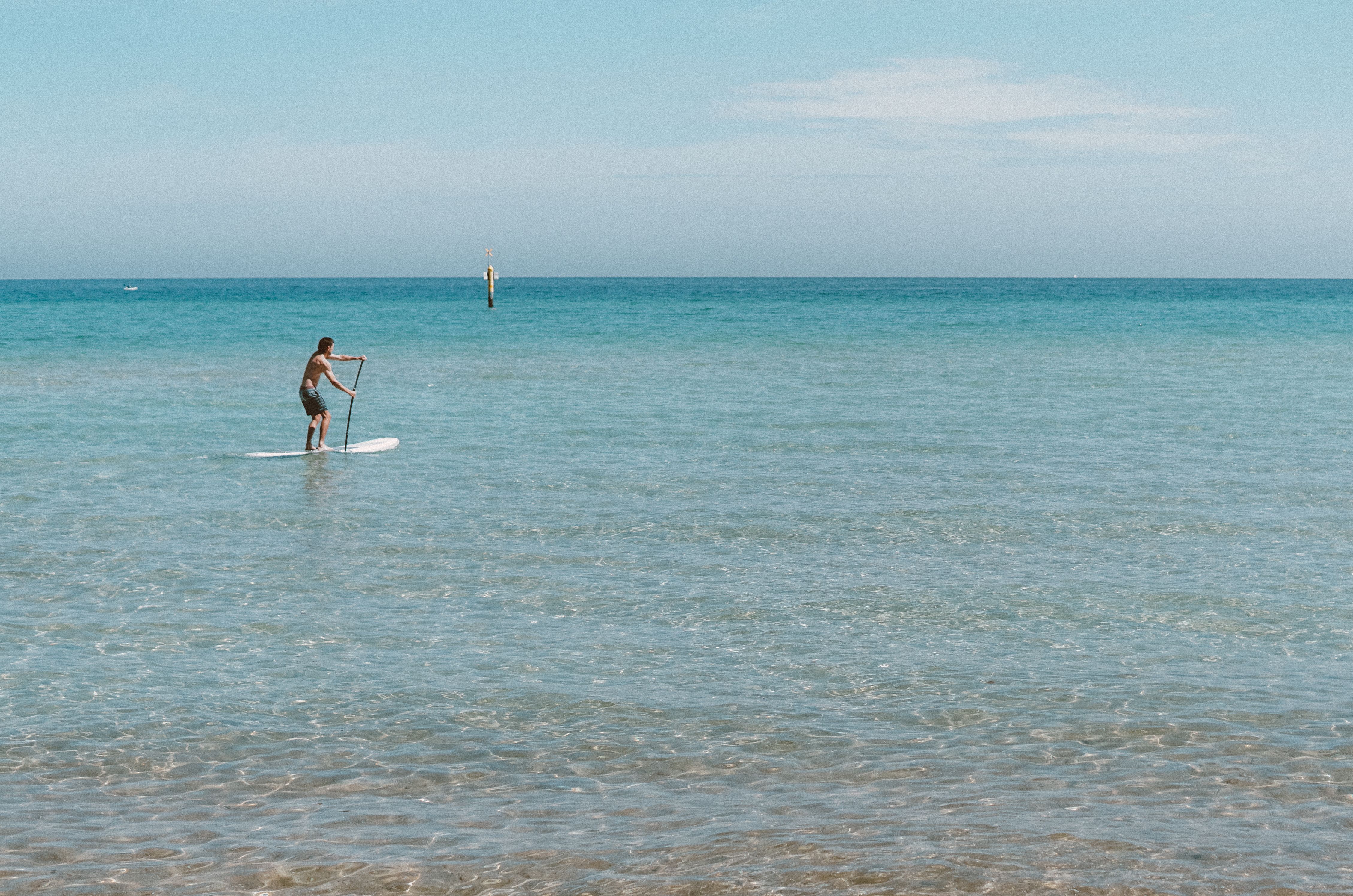 Beautiful Girls on Paddle Board · Free Stock Photo