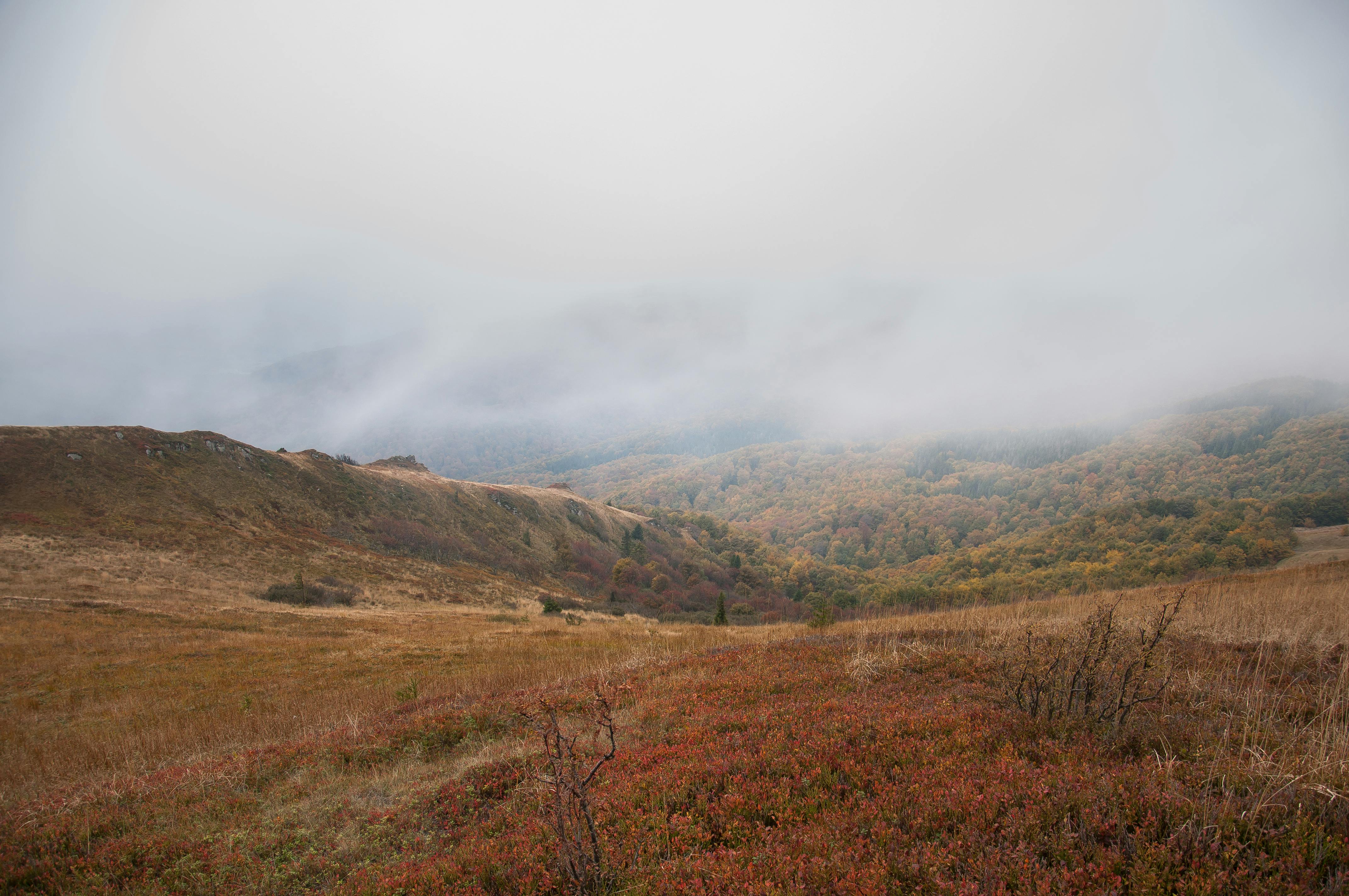 Hilly terrain covered with mist · Free Stock Photo
