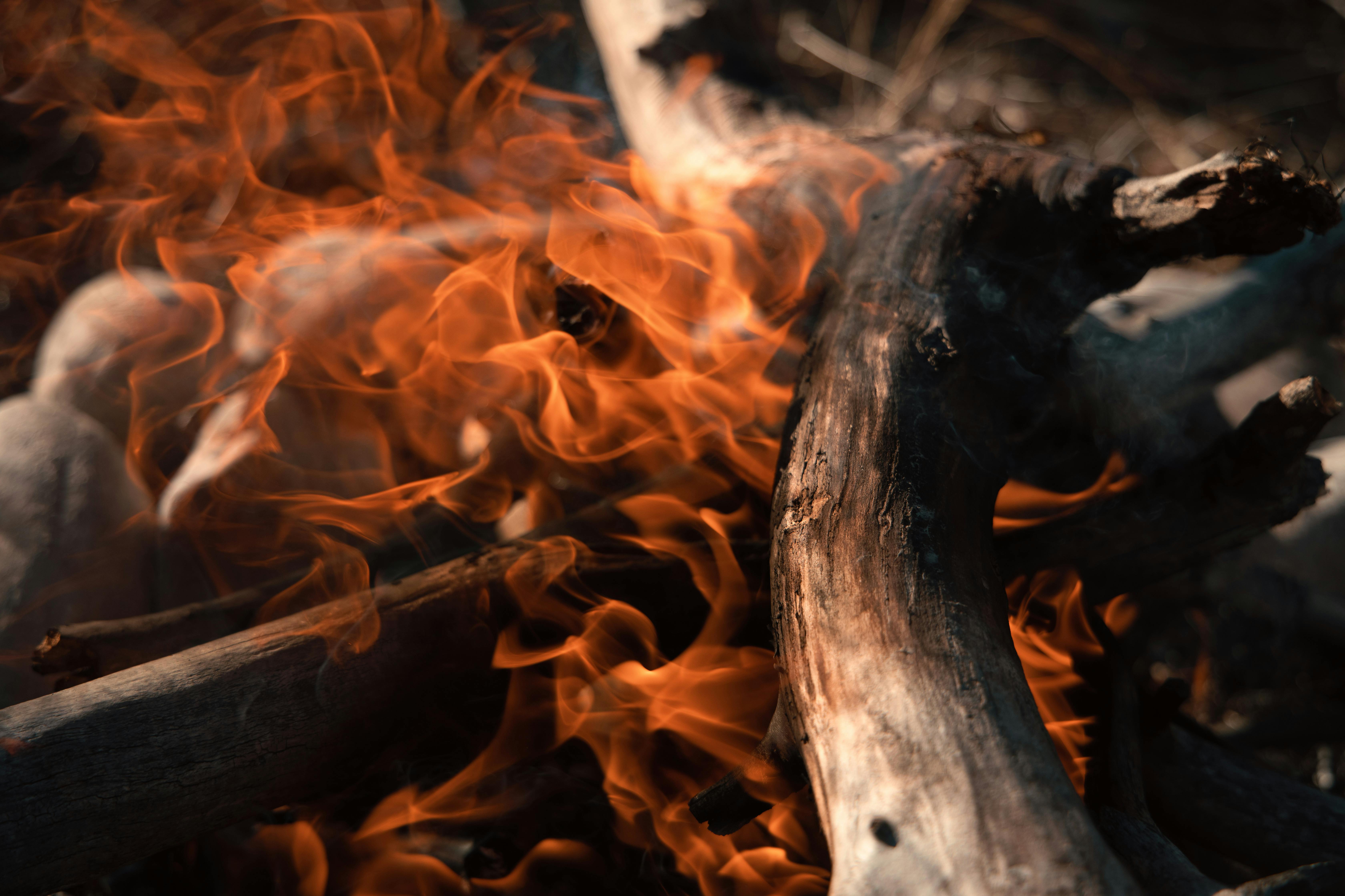 Leaves Burning · Free Stock Photo