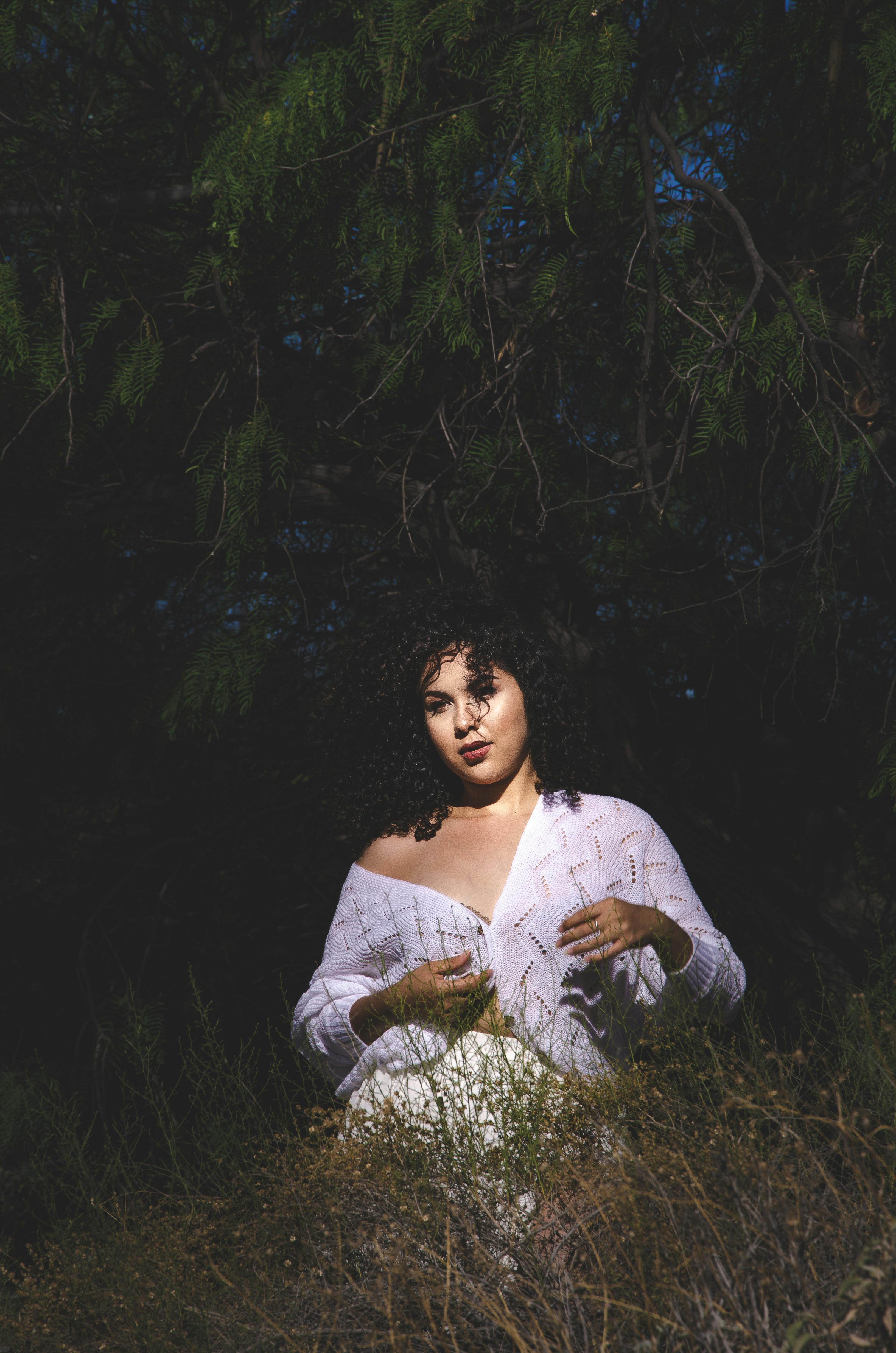 Curl Tree Photos, Download The BEST Free Curl Tree Stock Photos & HD Images