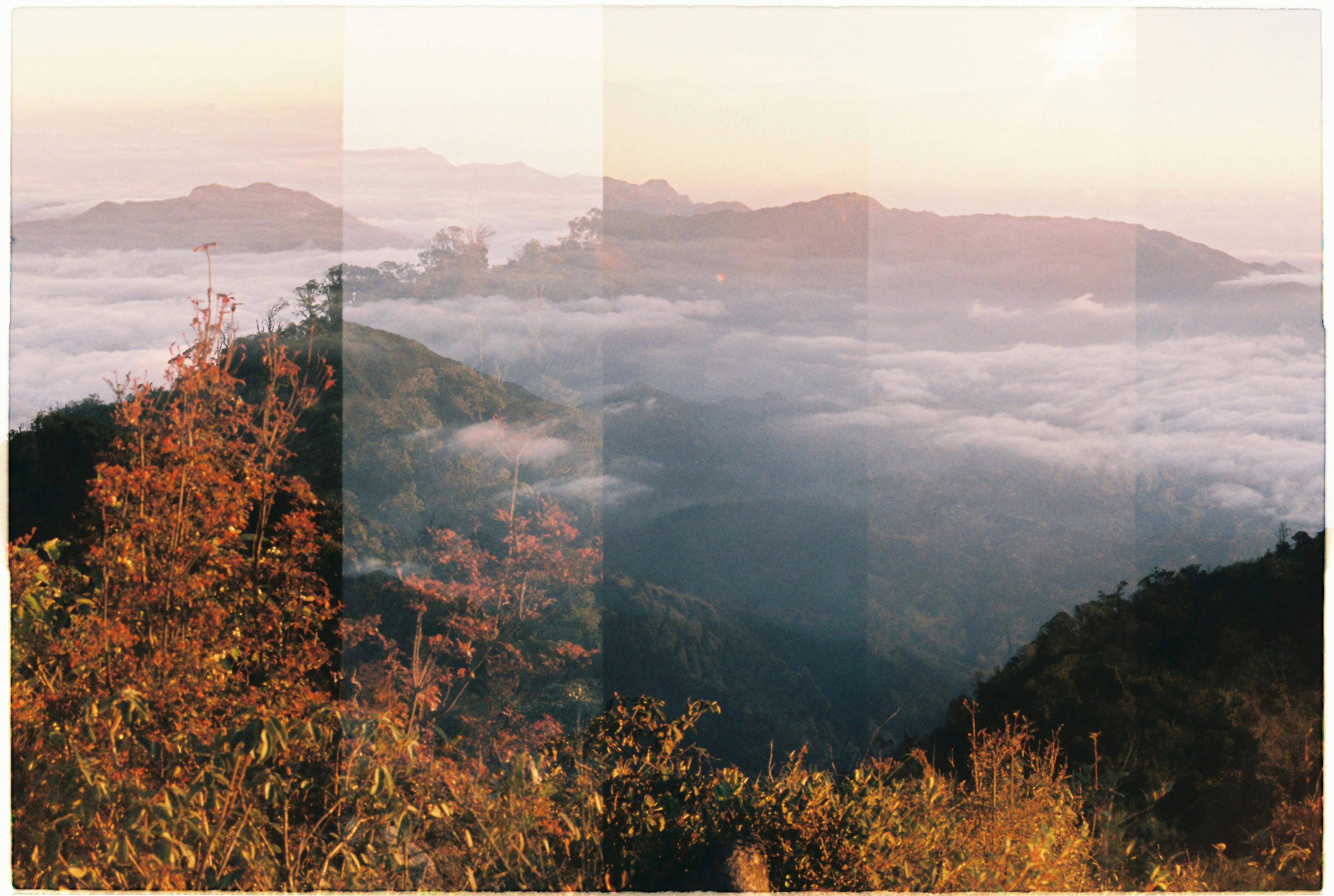 Phuong Nguyen - Photography