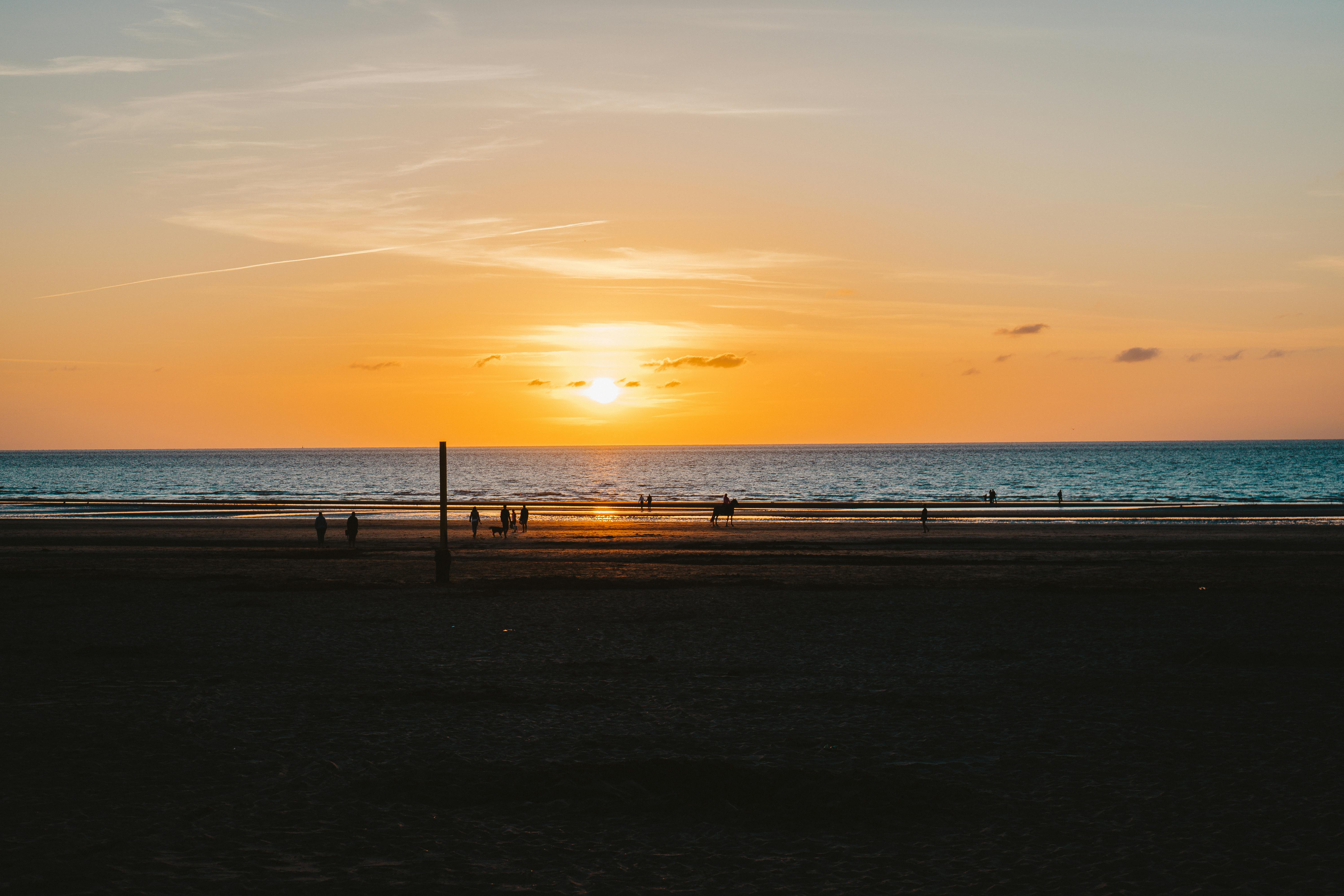 People on a Beach during Sunset · Free Stock Photo