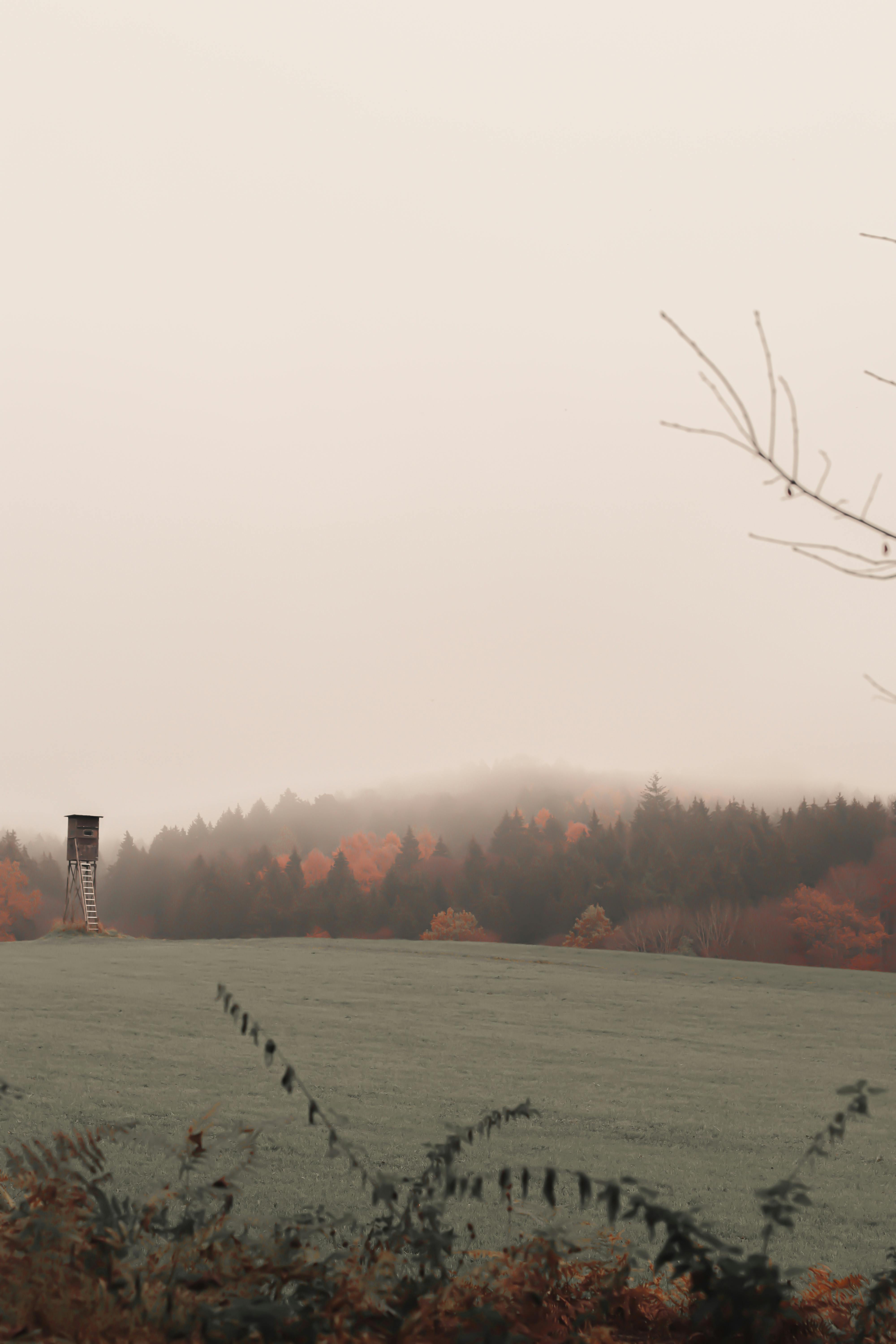 Watch Tower Photos, Download The BEST Free Watch Tower Stock Photos ...