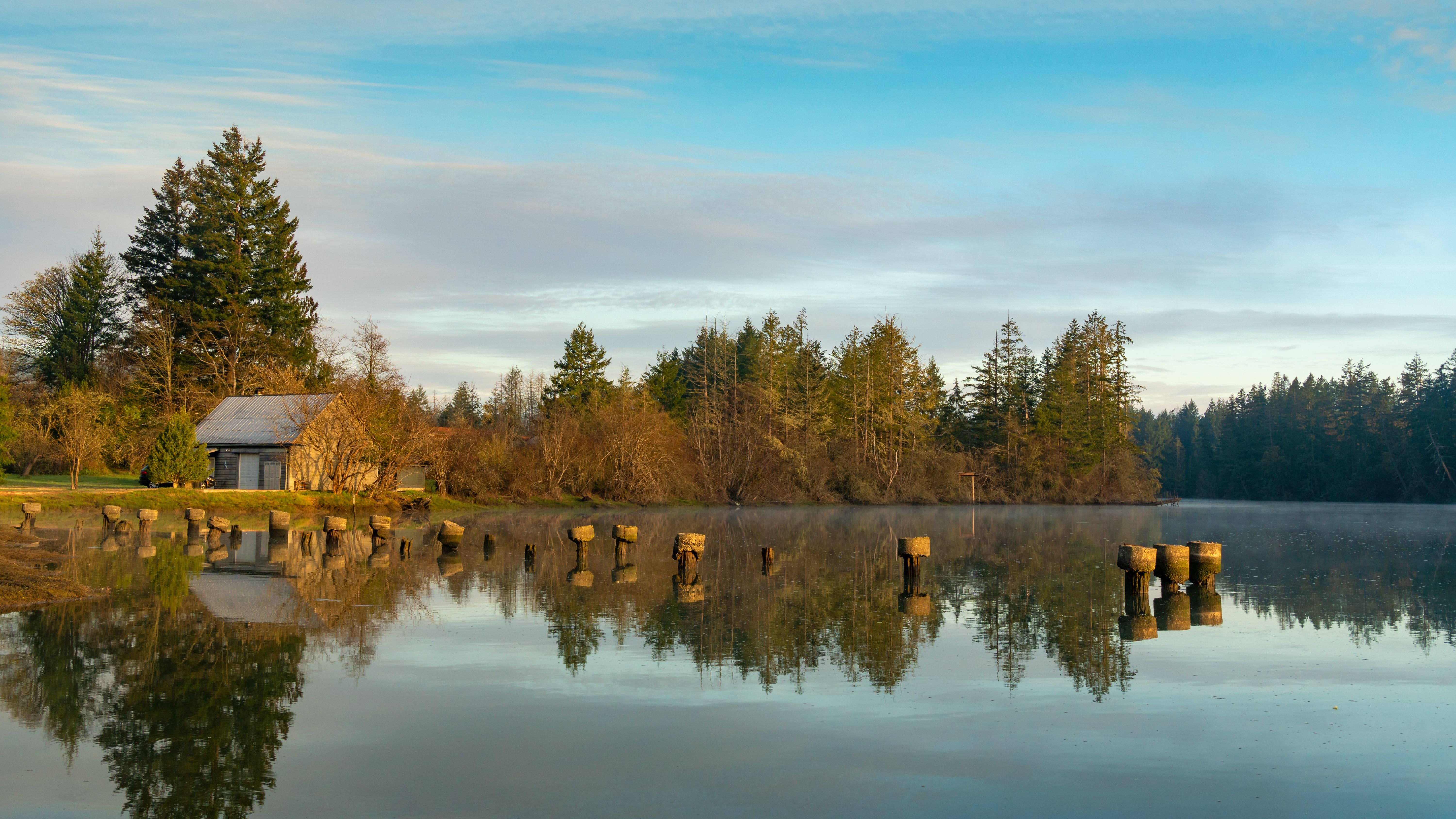 House and Tree by River · Free Stock Photo