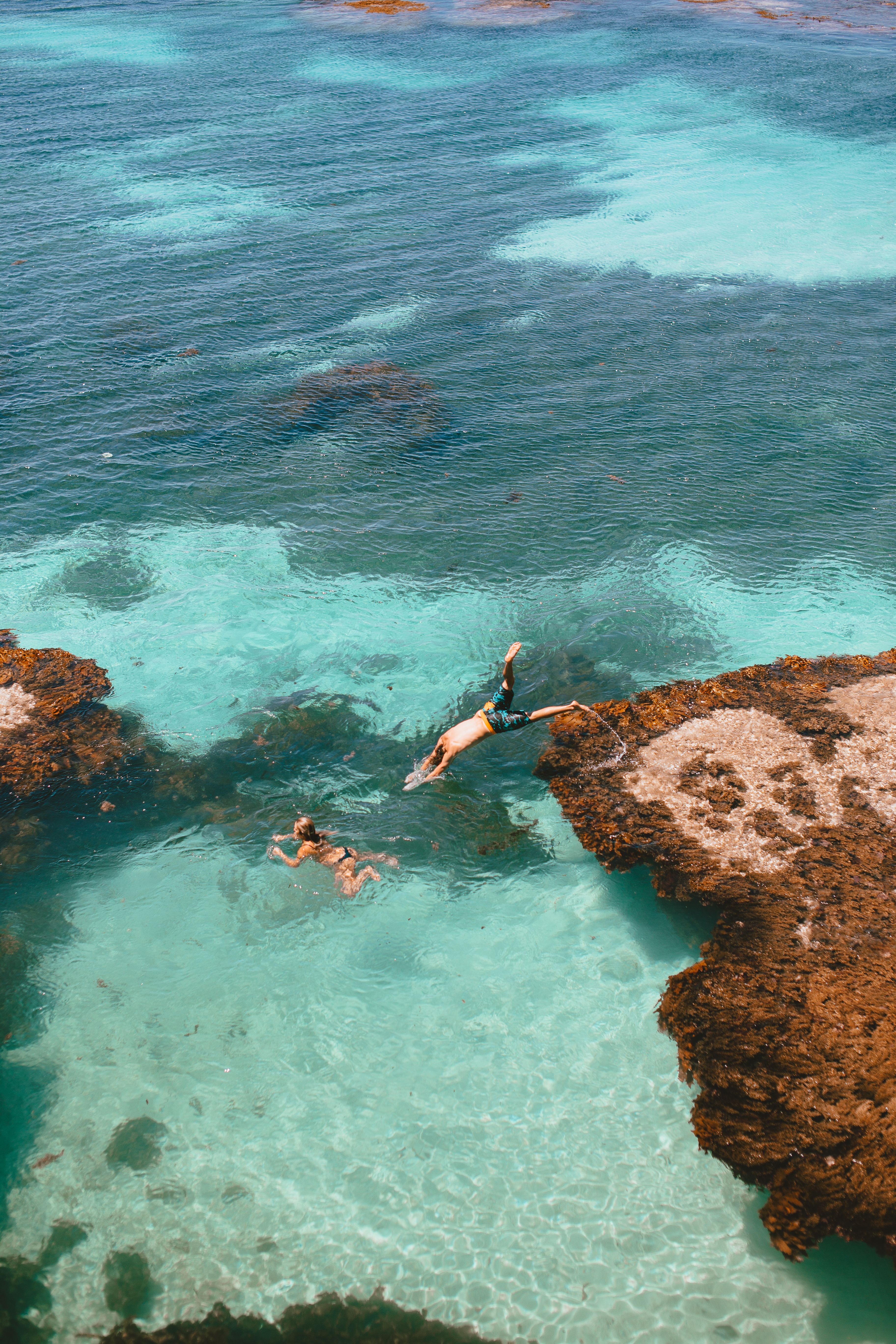 People Swimming on Sea Shore · Free Stock Photo