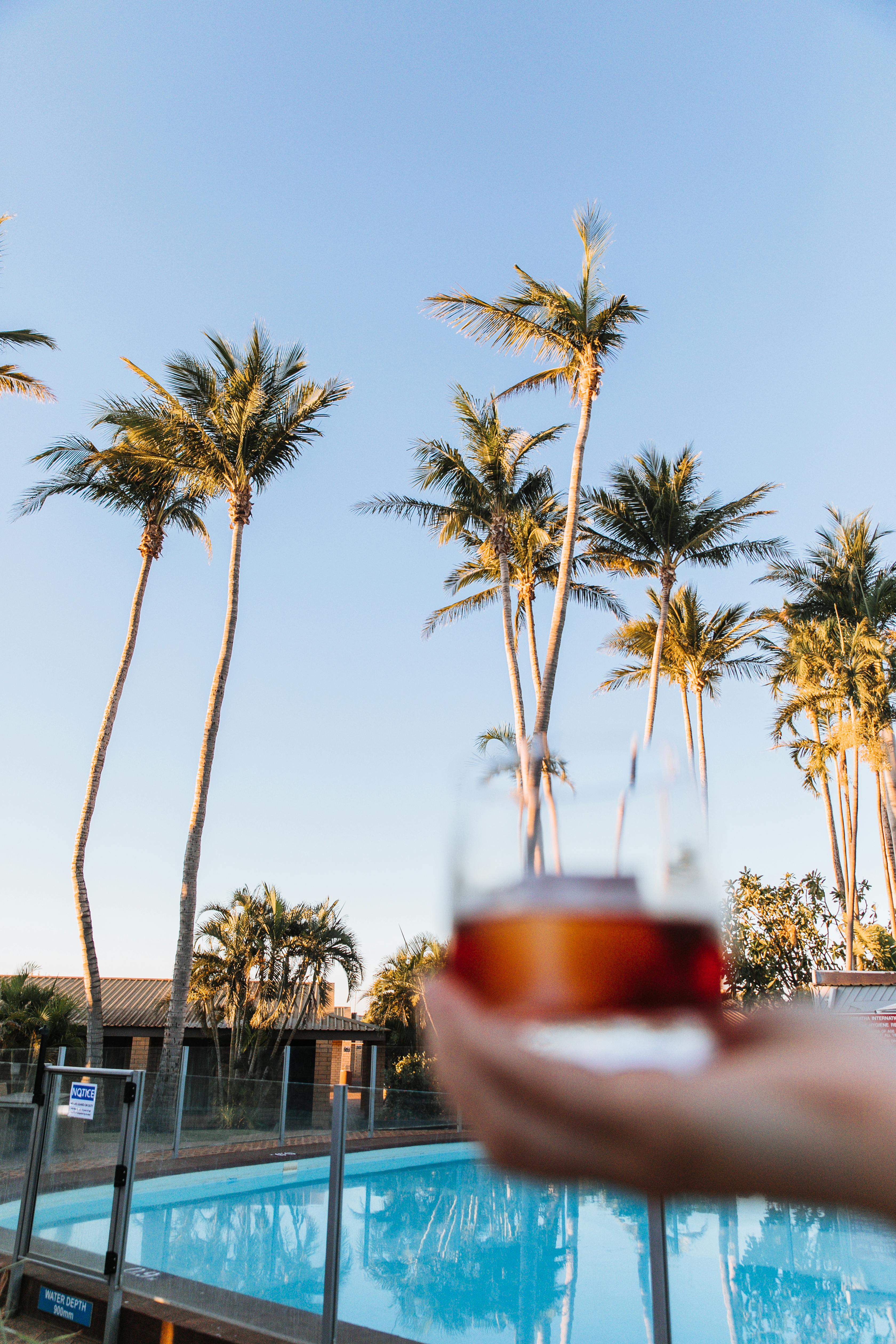 Palm Trees near Swimming Pool on Resort · Free Stock Photo