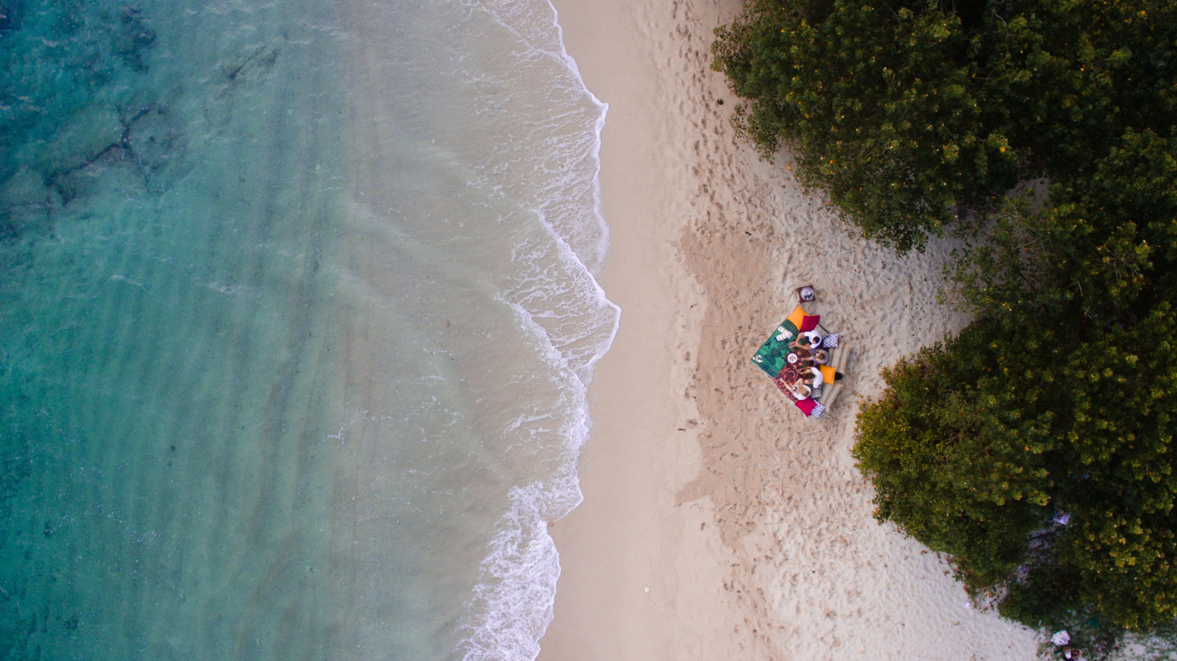 Birds Eye View of People Having a Picnic by the Beach · Free Stock Photo