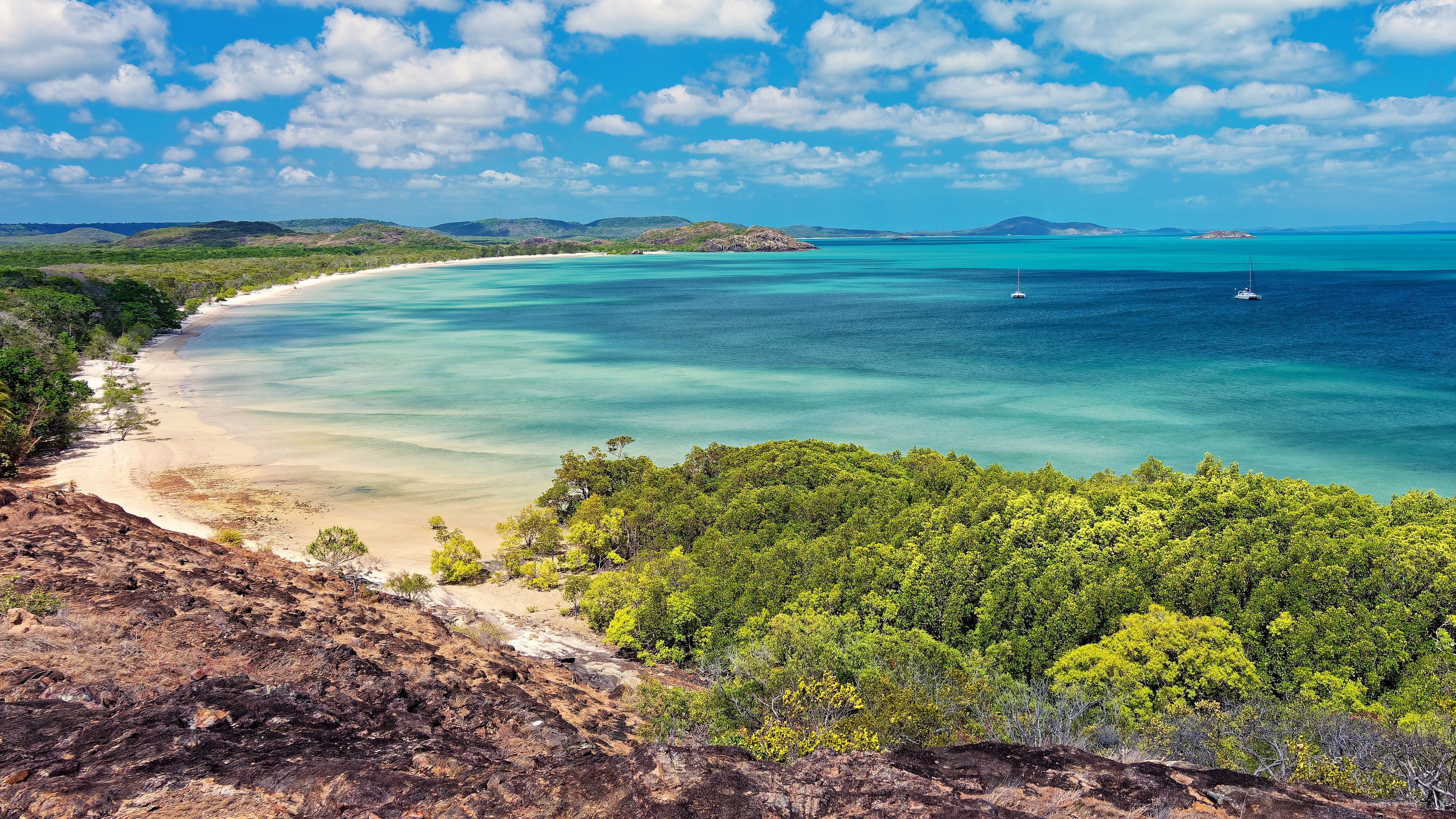 Green Trees Near Blue Sea · Free Stock Photo