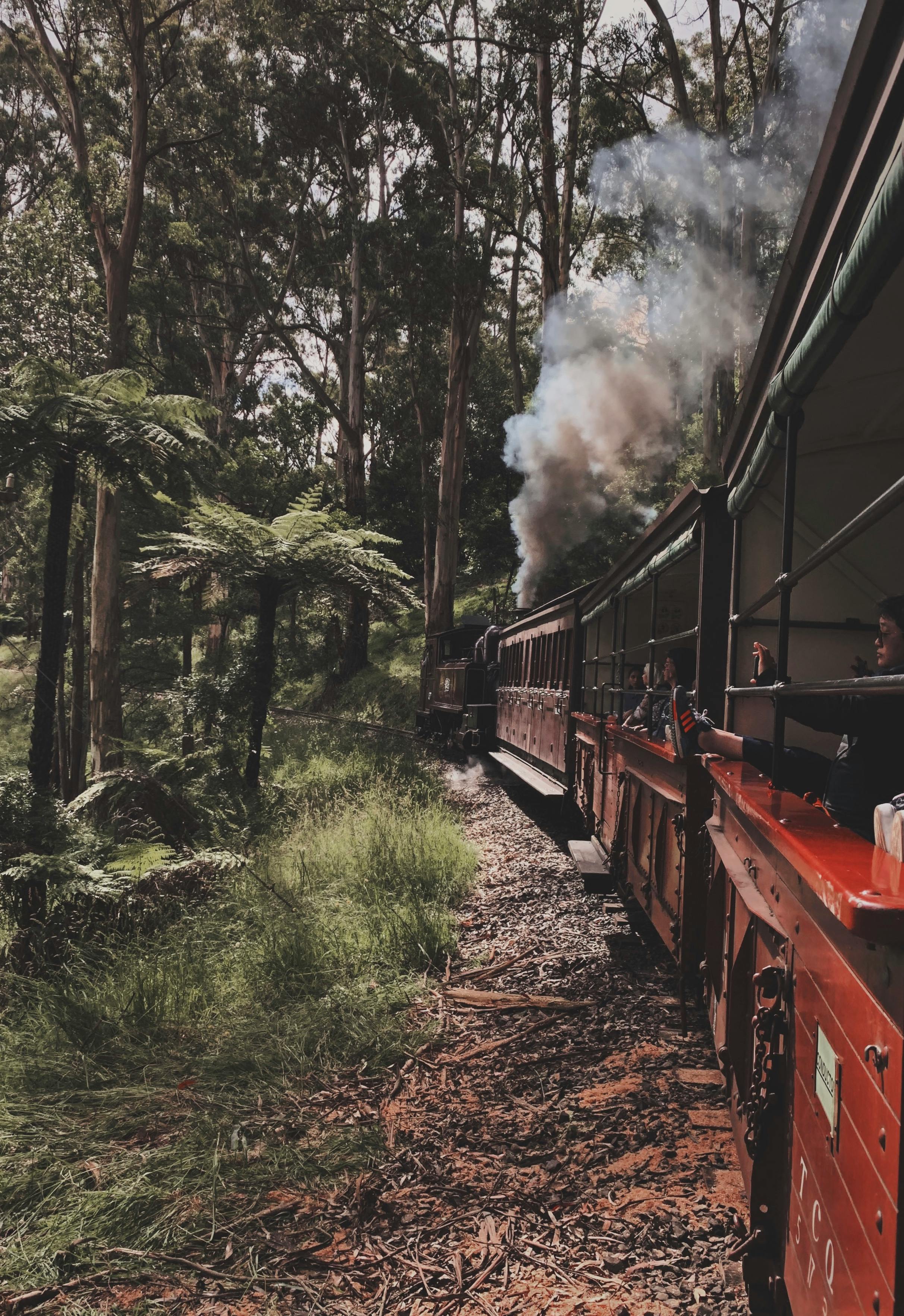 Train on Railway Riding Through a Forest · Free Stock Photo