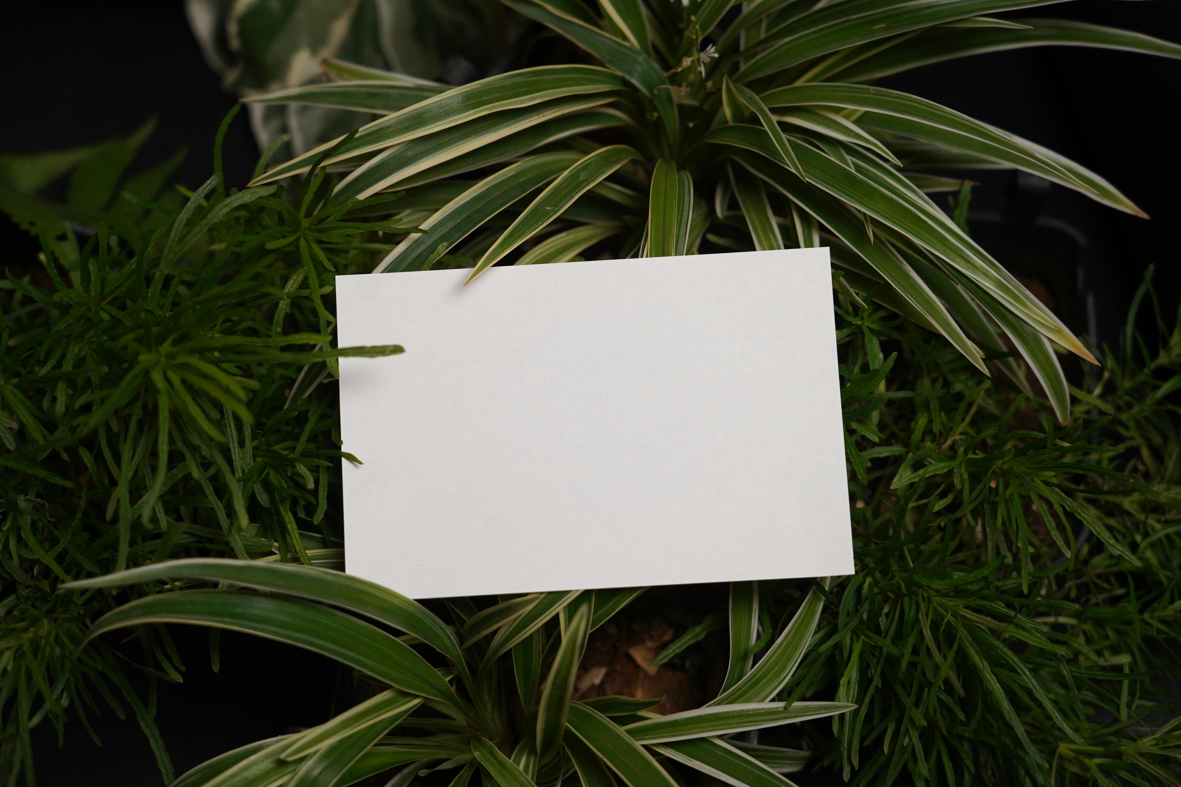 White Page of Graphing Paper With Red Heart Drawing · Free Stock Photo