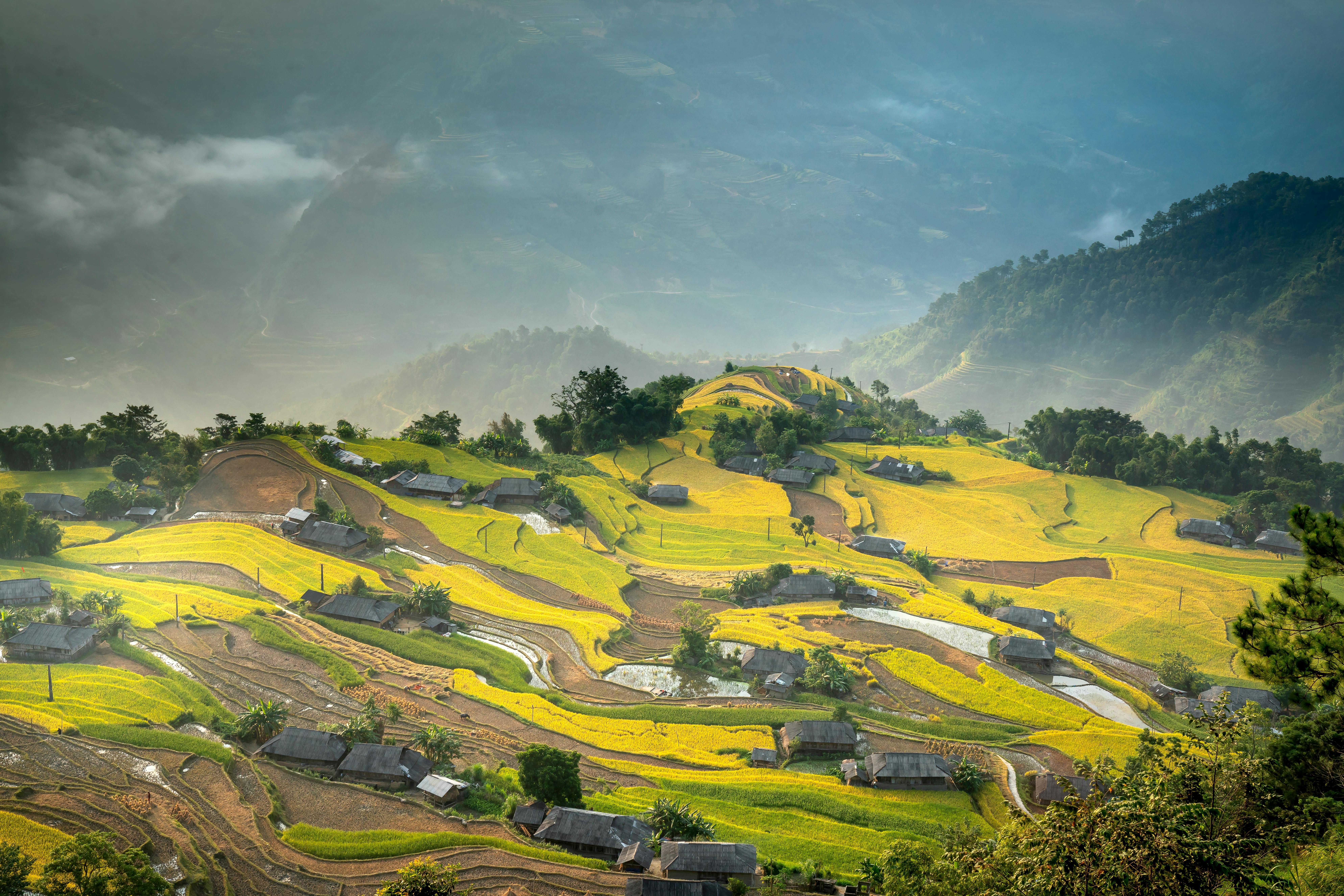 Agricultural fields and rural houses on lush hilly terrain · Free Stock ...