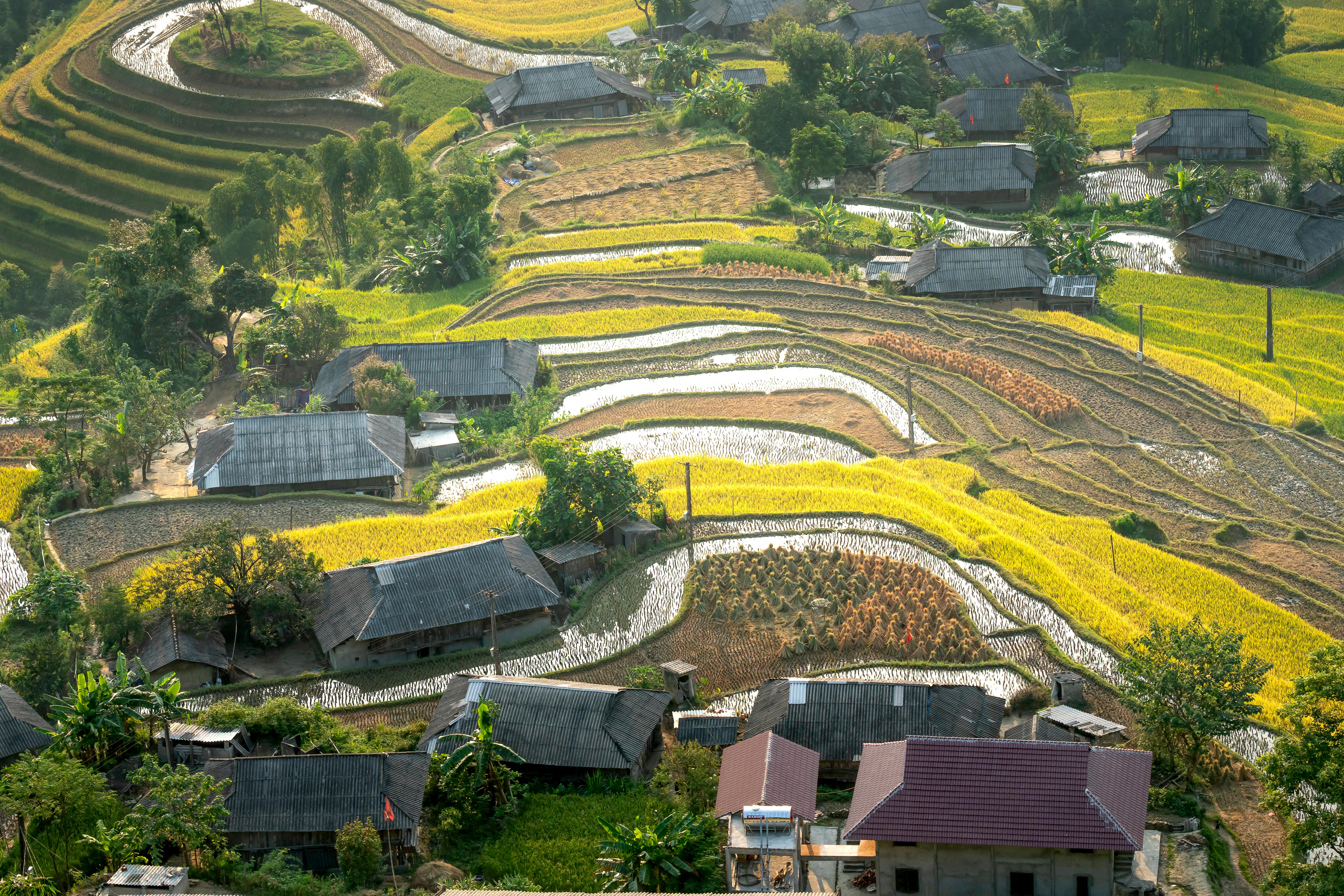 Rural village with lush agricultural fields · Free Stock Photo