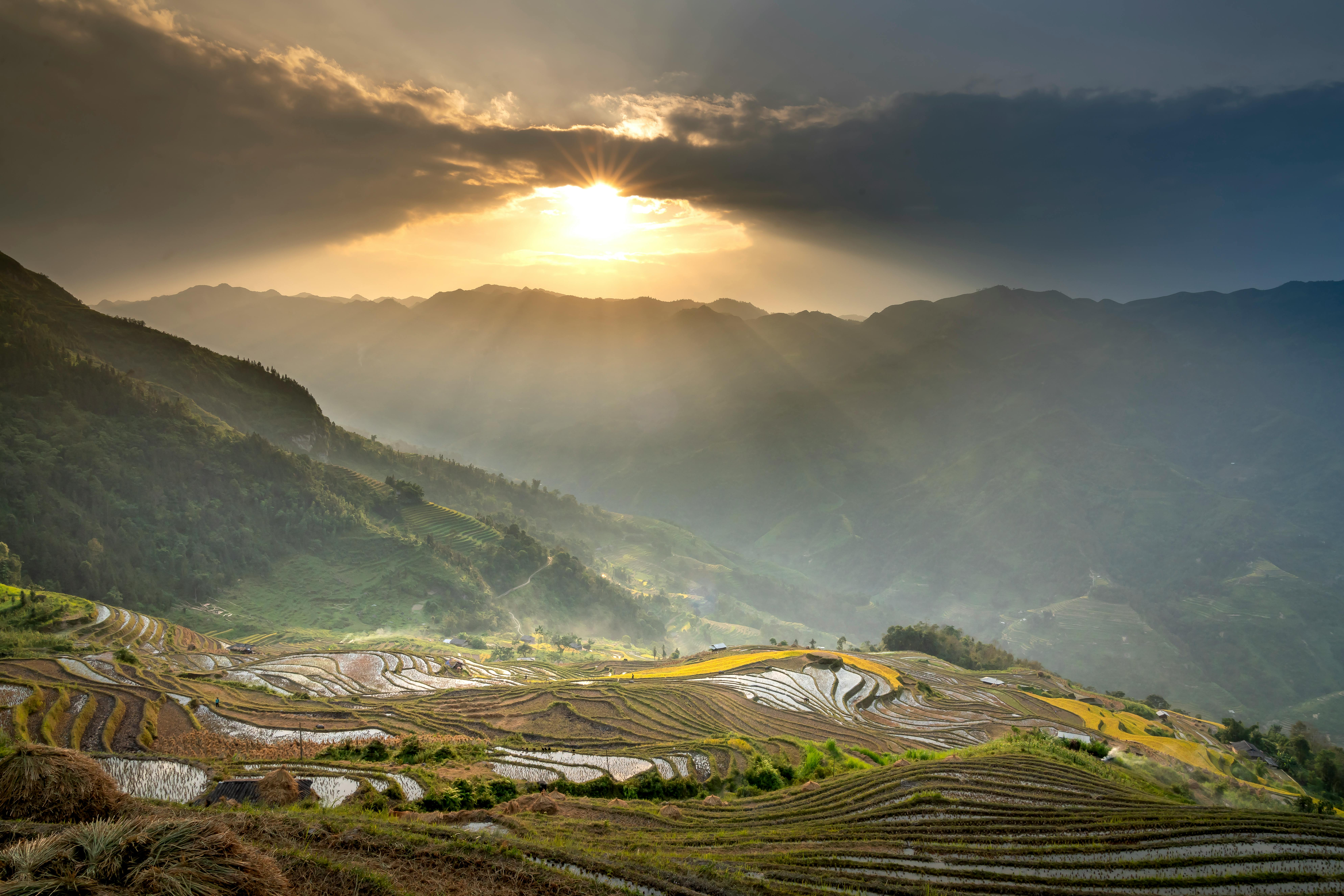 Picturesque landscape of rice fields near green mountains in sunrise ...
