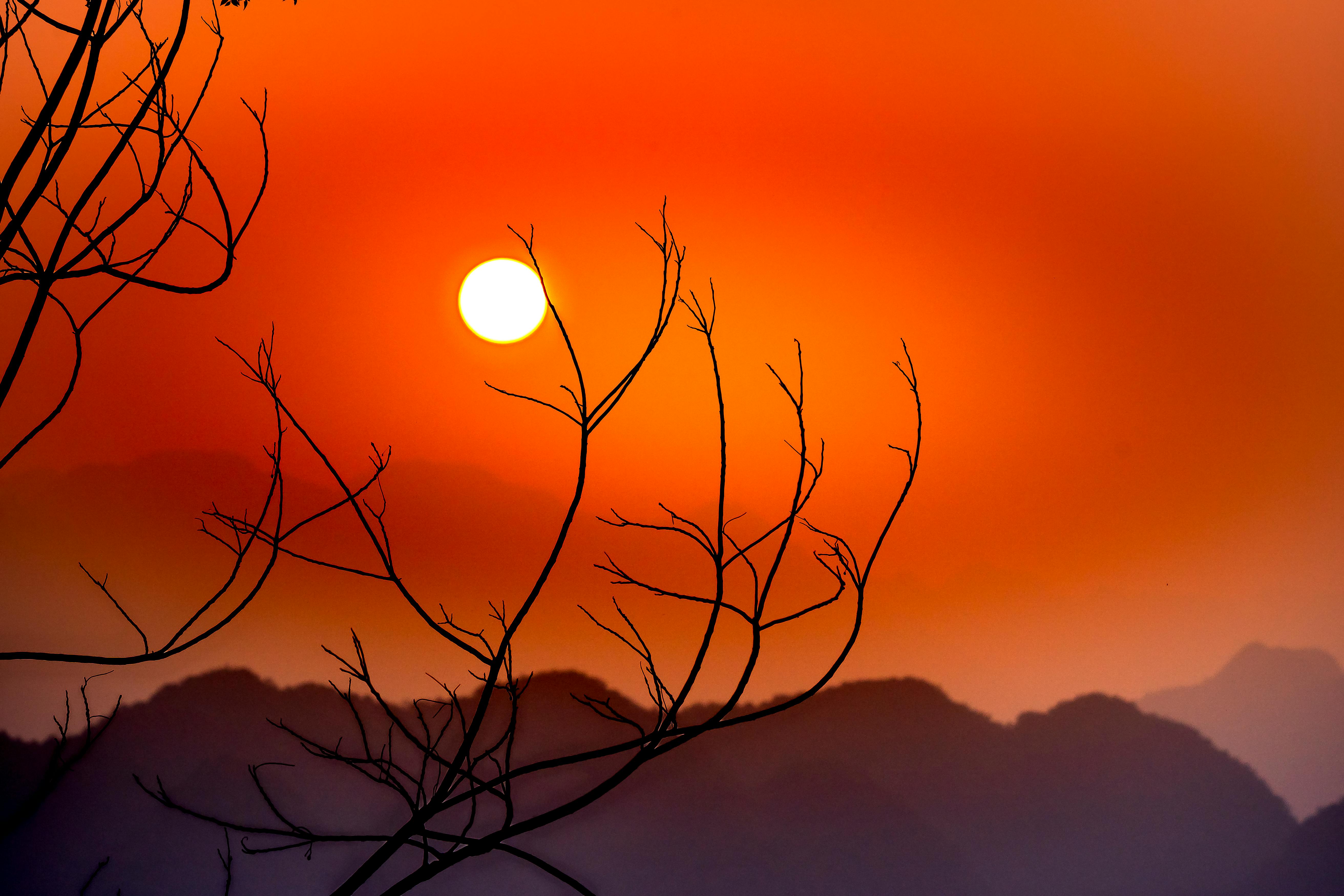 Sun Shine Photos, Download The BEST Free Sun Shine Stock Photos & HD Images