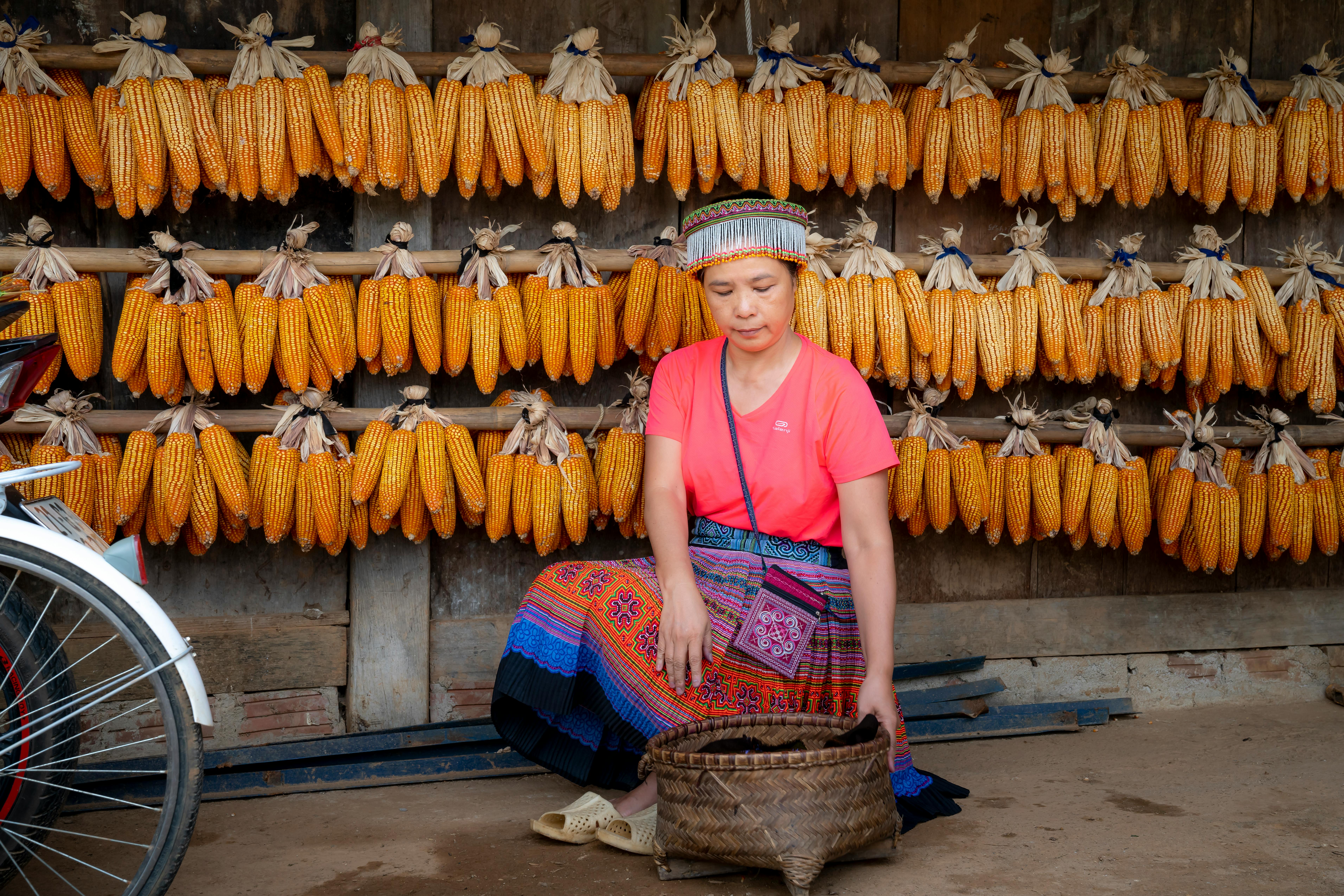 Asian woman sitting against hanging corn · Free Stock Photo