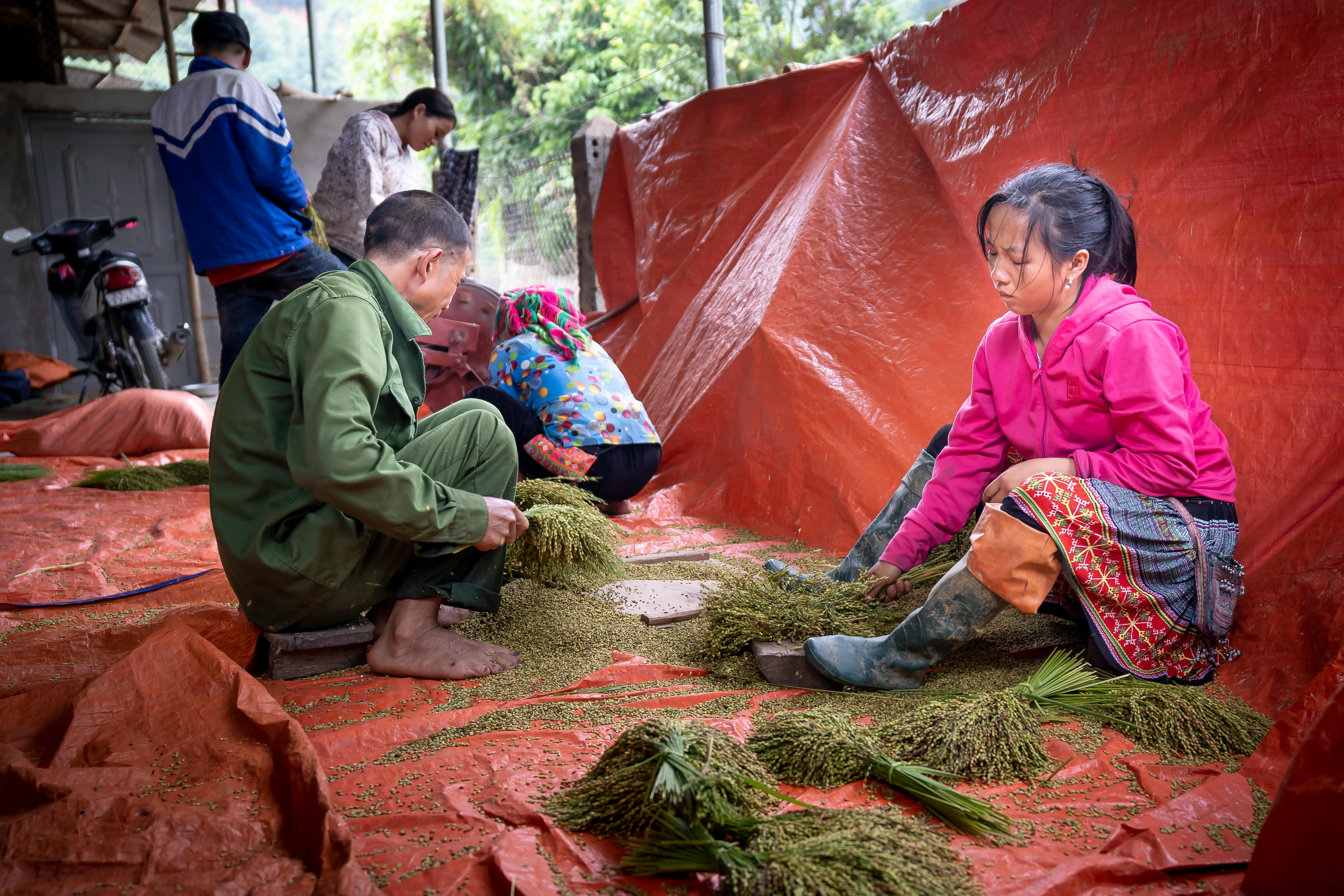 318+ Best Free Sorting Stock Photos & Images · 100% Royalty-Free HD ...